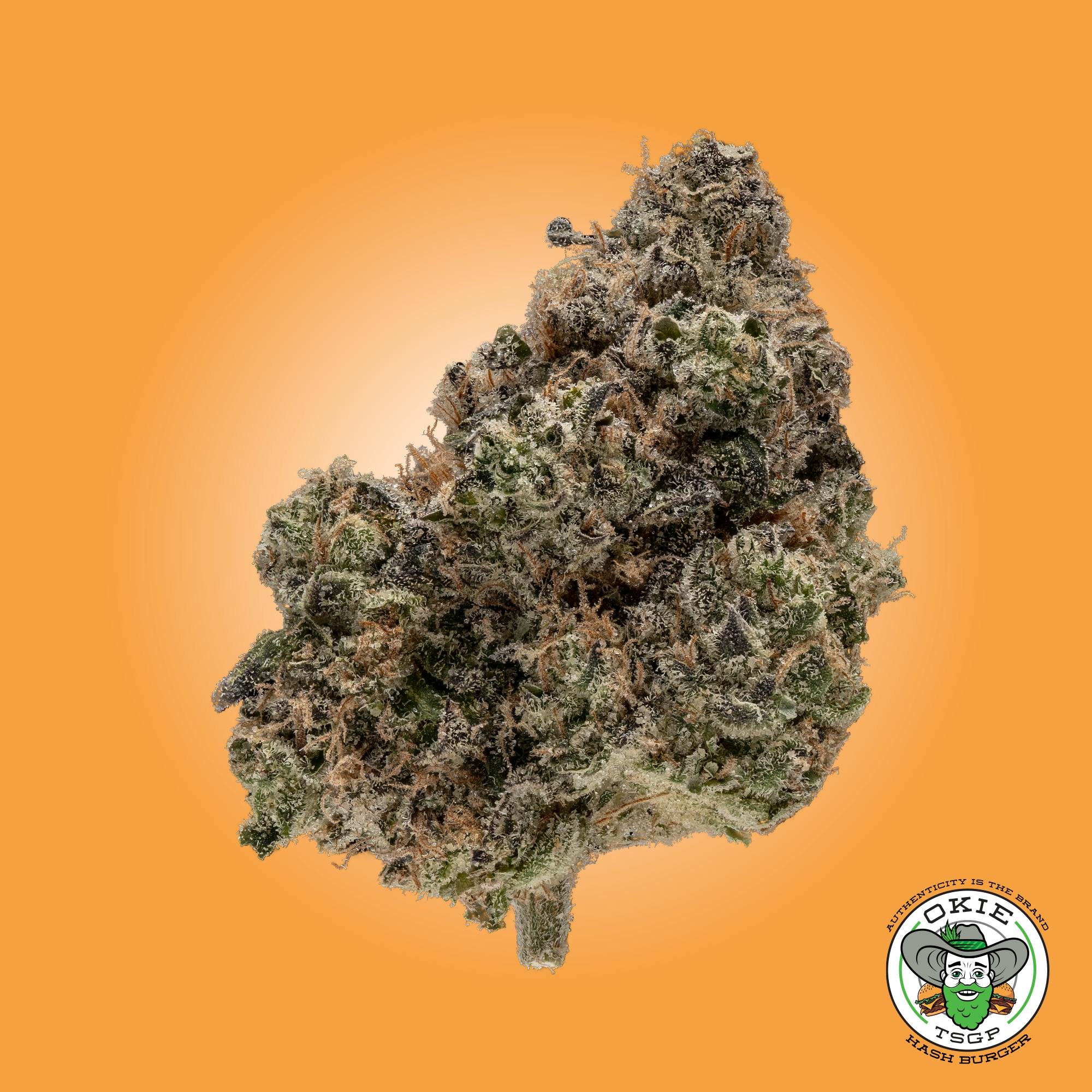 Hash Burger - Flower - 1g - Okie TSGP
