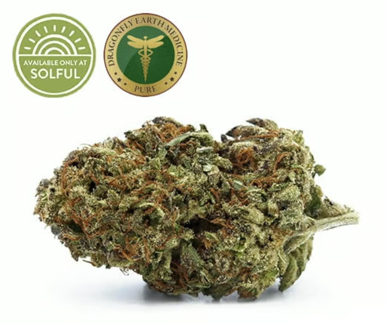 Paradise - Sun Roots Farm