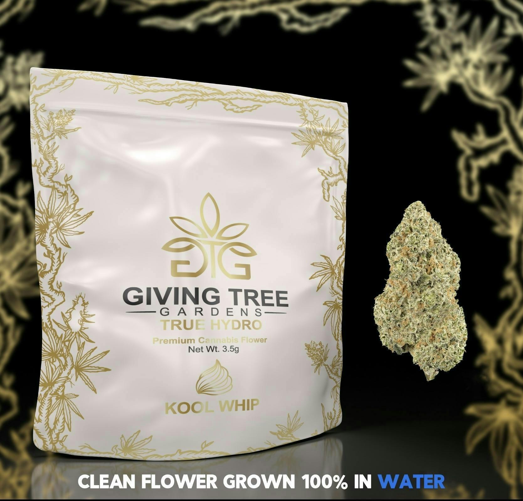 Kool Whip Flower - Giving Tree Gardens