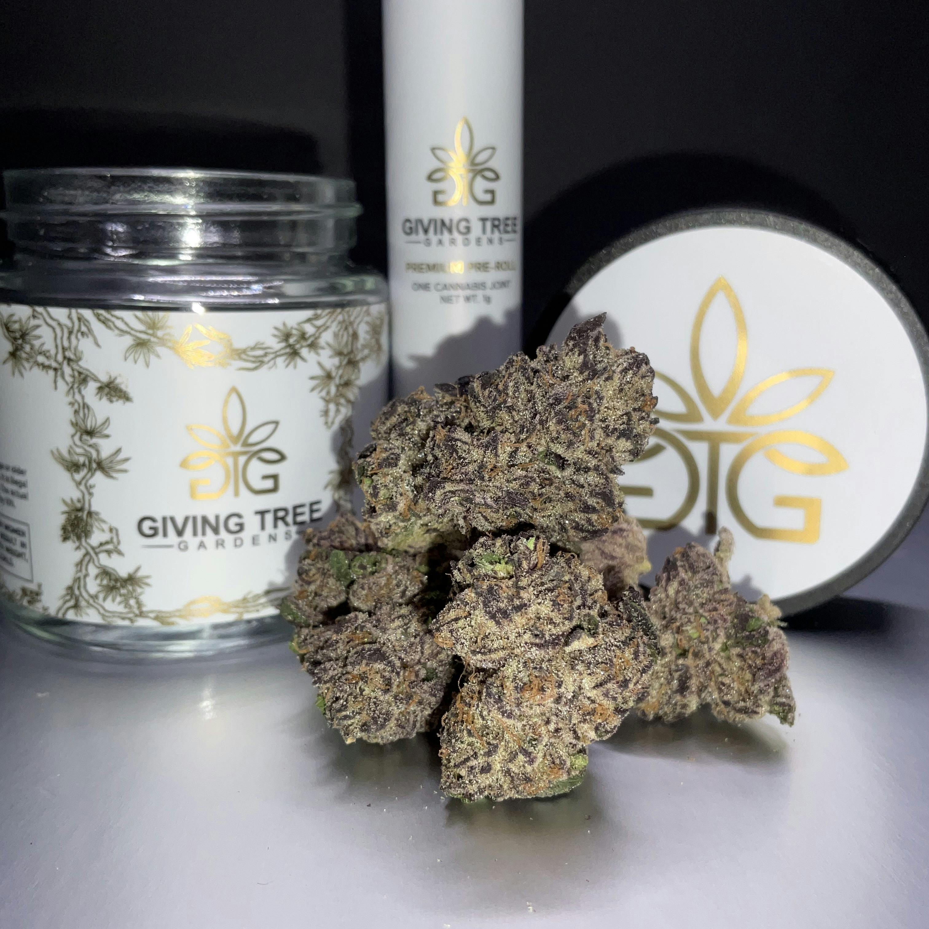 PEANUT BUTTER CUP FLOWER - Giving Tree Gardens