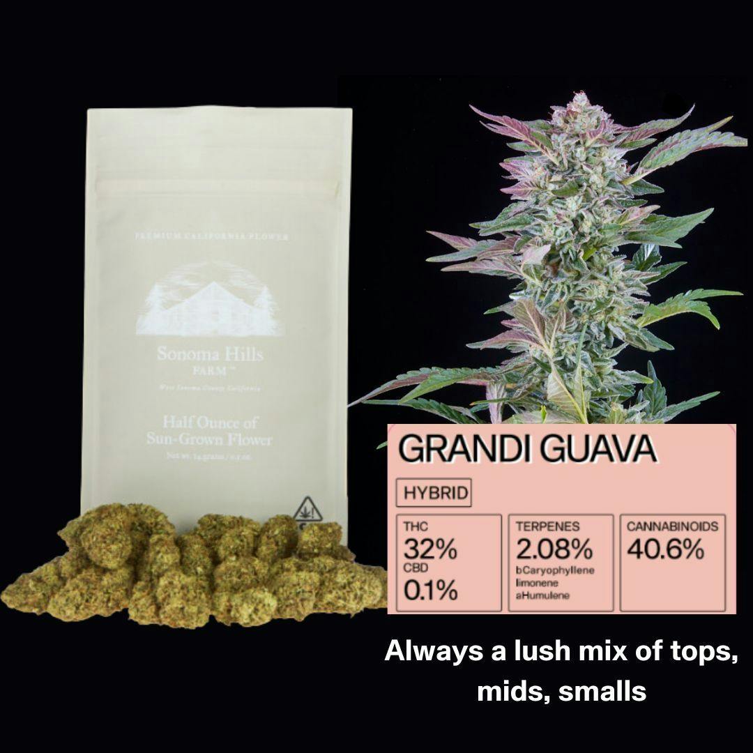 Grandi Guava - 14g Flower Bag - Sonoma Hills Farm