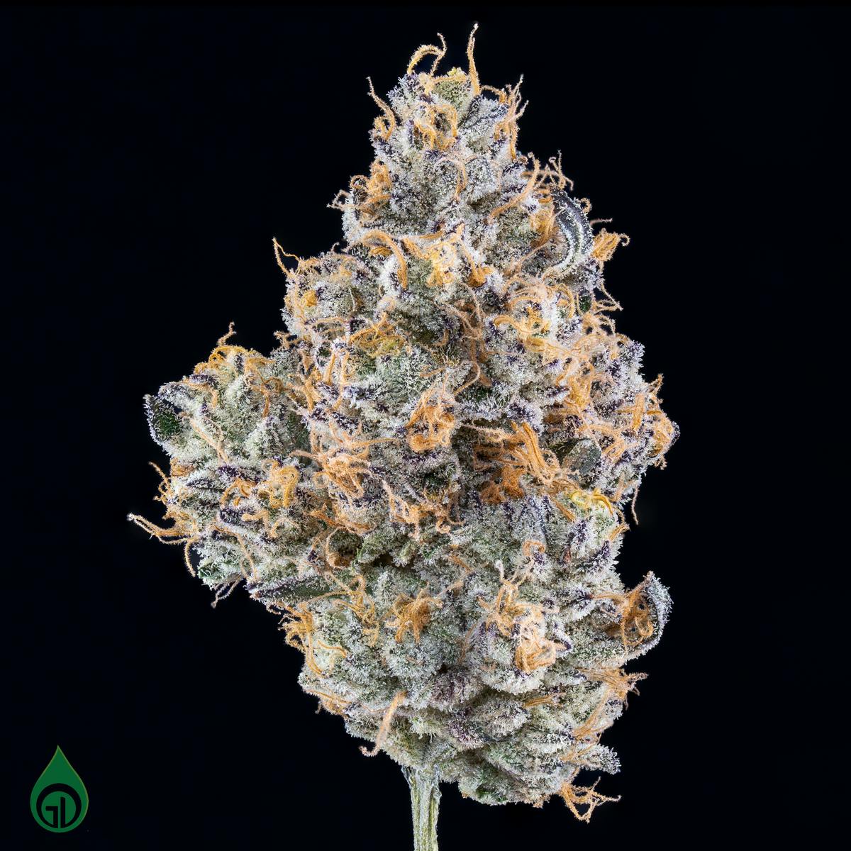 GDL Black Label Flower (14g) | G - Green Dot Labs GDL Black Label Flower (14g) | G - Green Dot Labs