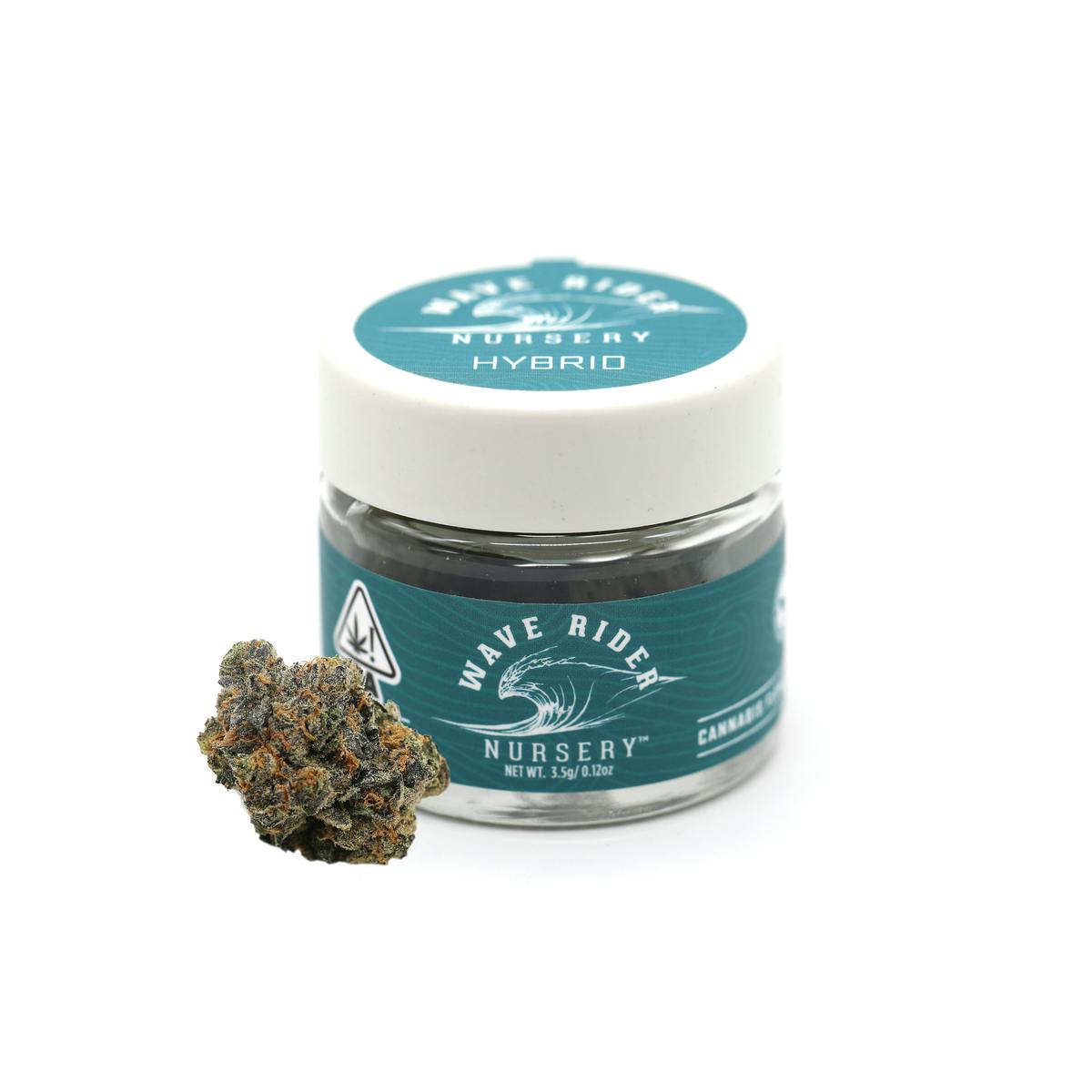 Gary Payton 3.5G - Wave Rider Nursery