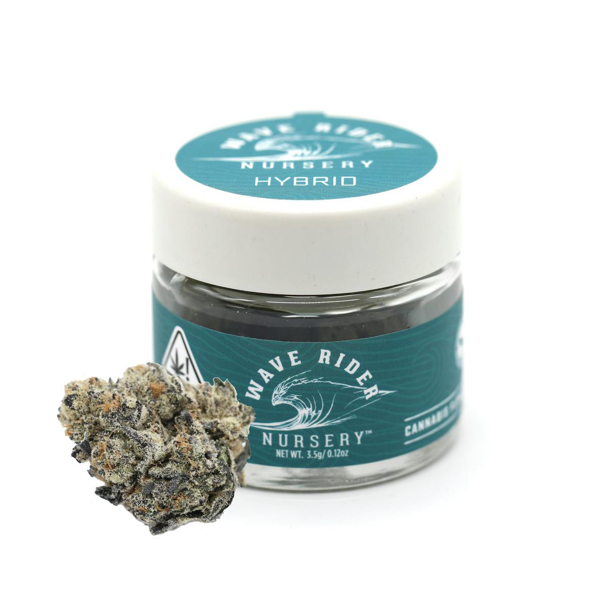 Purple Headband - Wave Rider Nursery