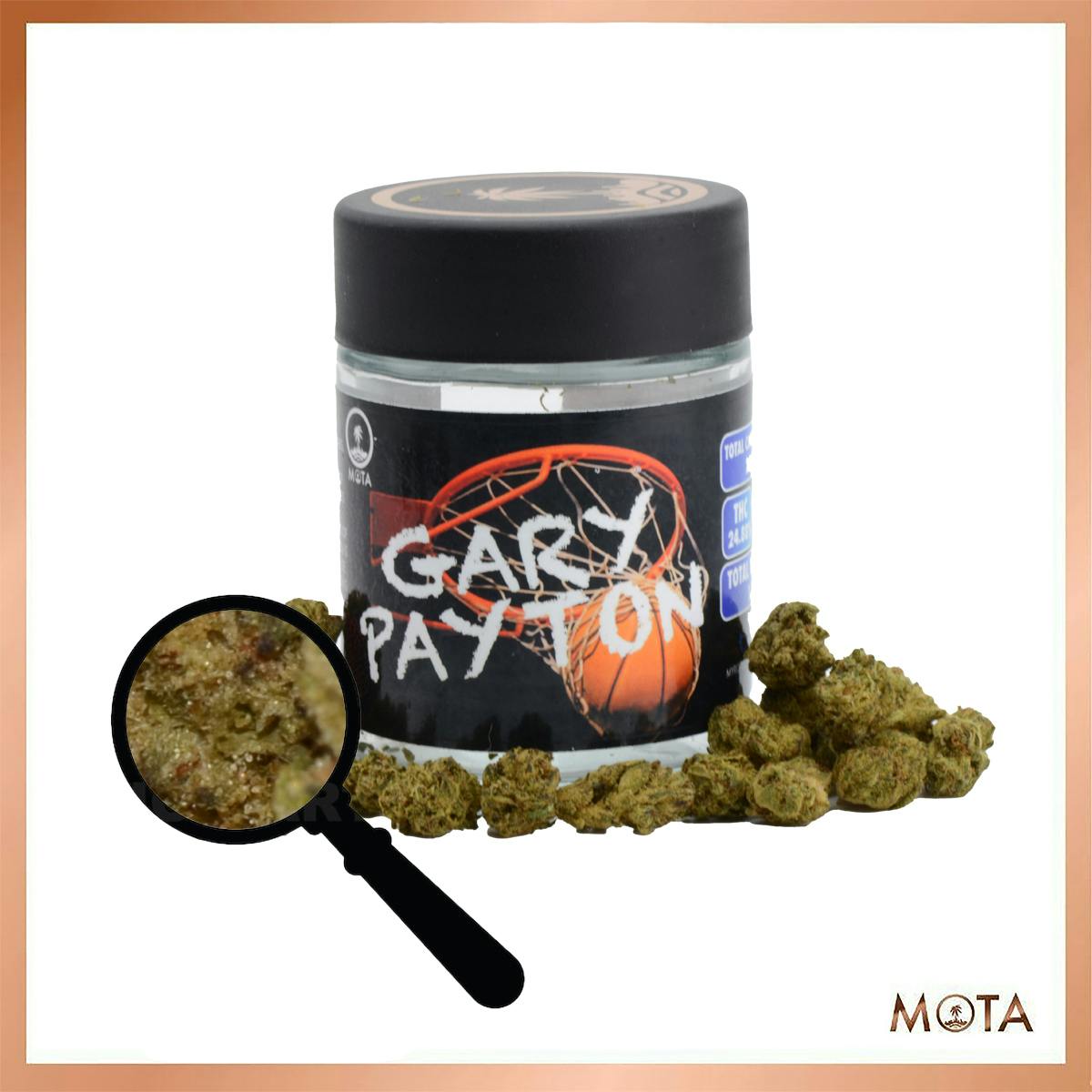 Gary Payton (7gs) INDICA Outdoor [MOTA] - MOTA