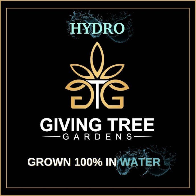 Orange Tree - 2g Flower - Giving Tree Gardens