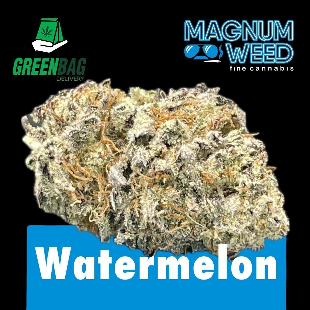Magnum Watermelon - Magnum Weed