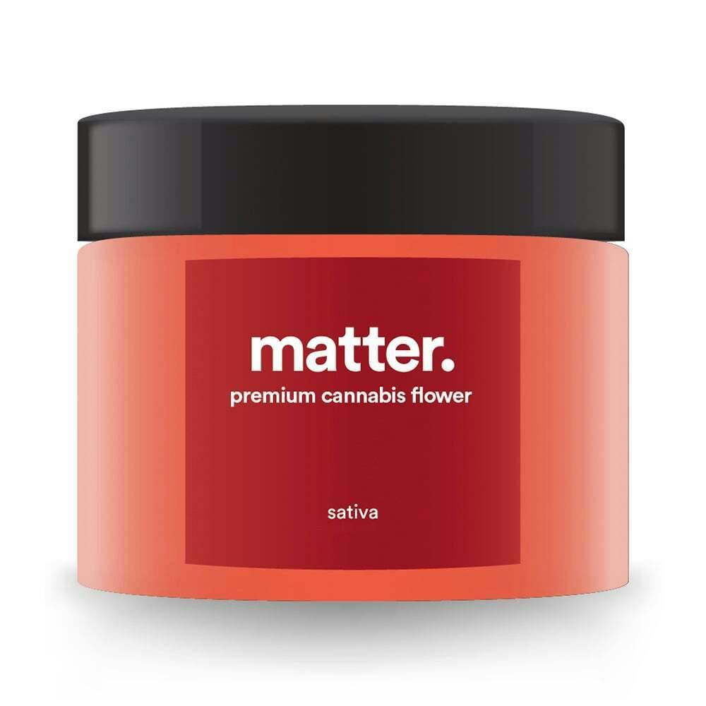 Mimosa Flower - matter.