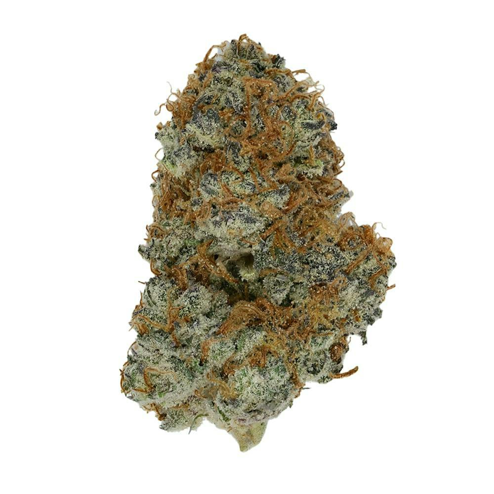 Truck Club Exclusive - Garlic Breath - 28g - Green Truck