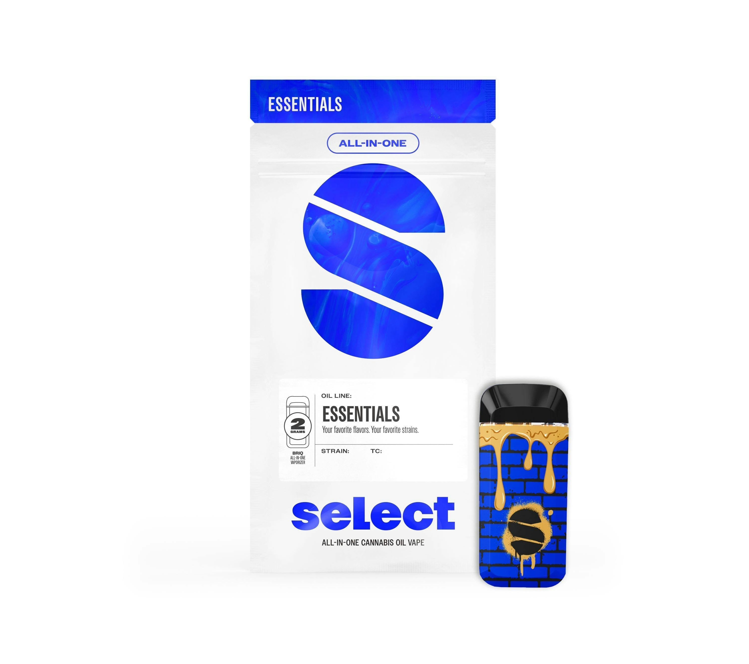 BRIQ Essentials All in One LIMITED - Pineapple Upside Down Cake [2g ...