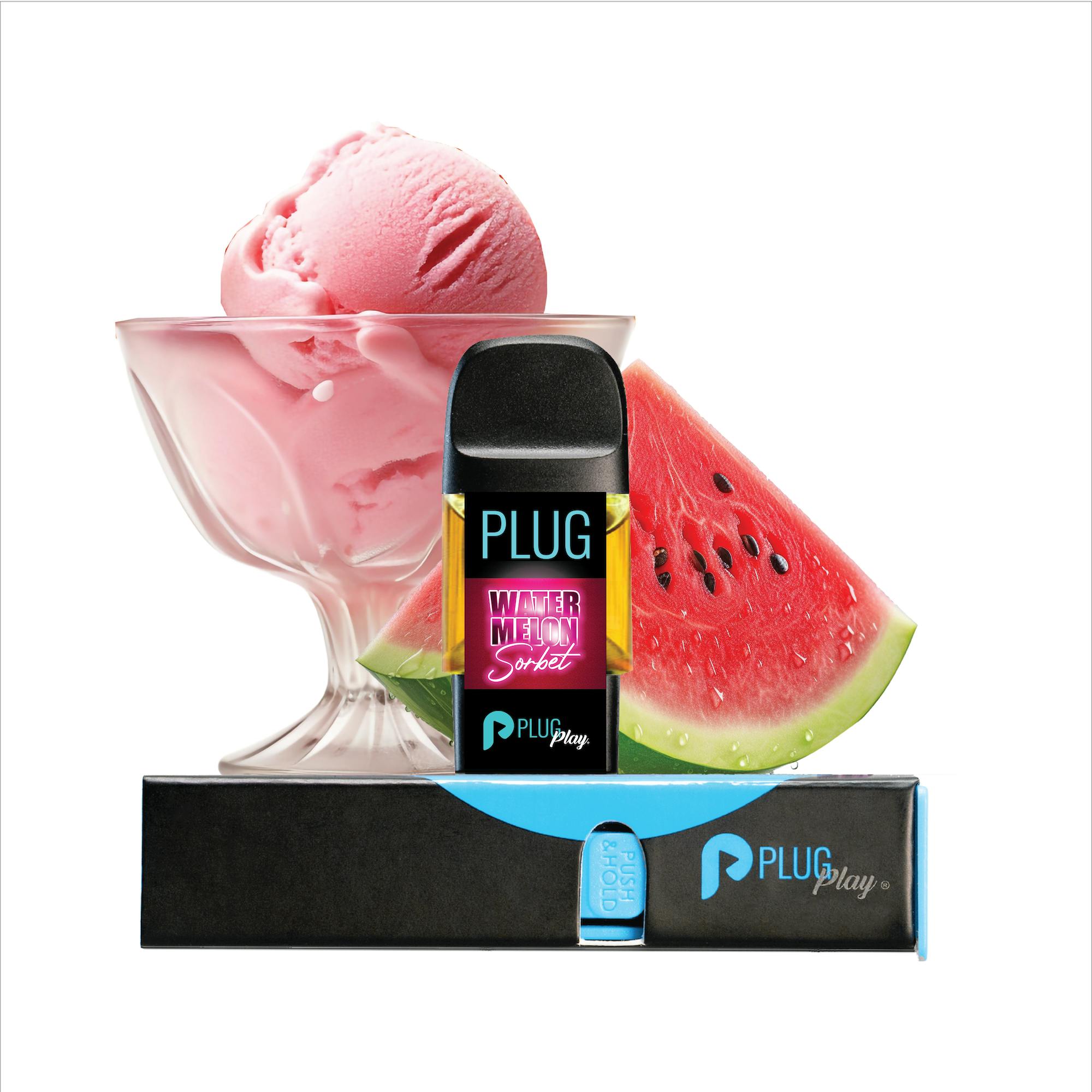 VAPE - 1g PLUG™ Washington: Watermelon Sorbet - PLUGPLAY™
