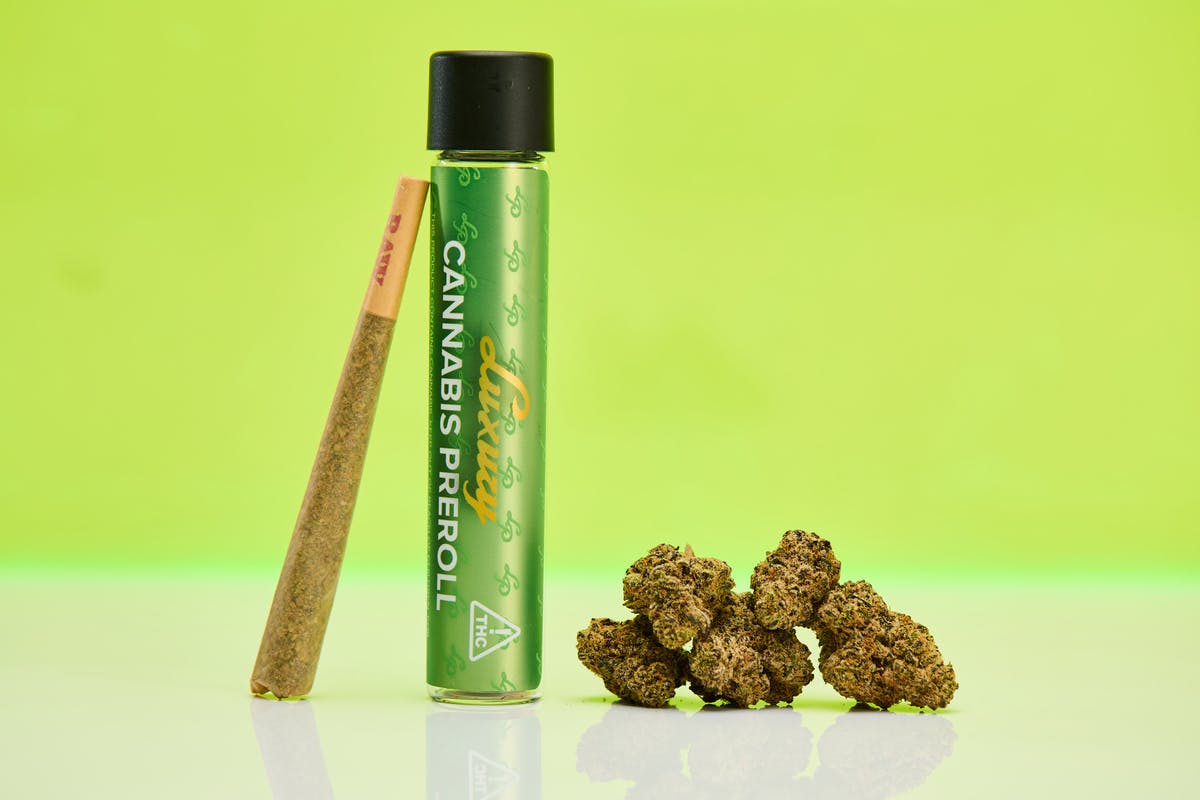 LP Exotics Mimosa Pie 1g Preroll - LP Exotics