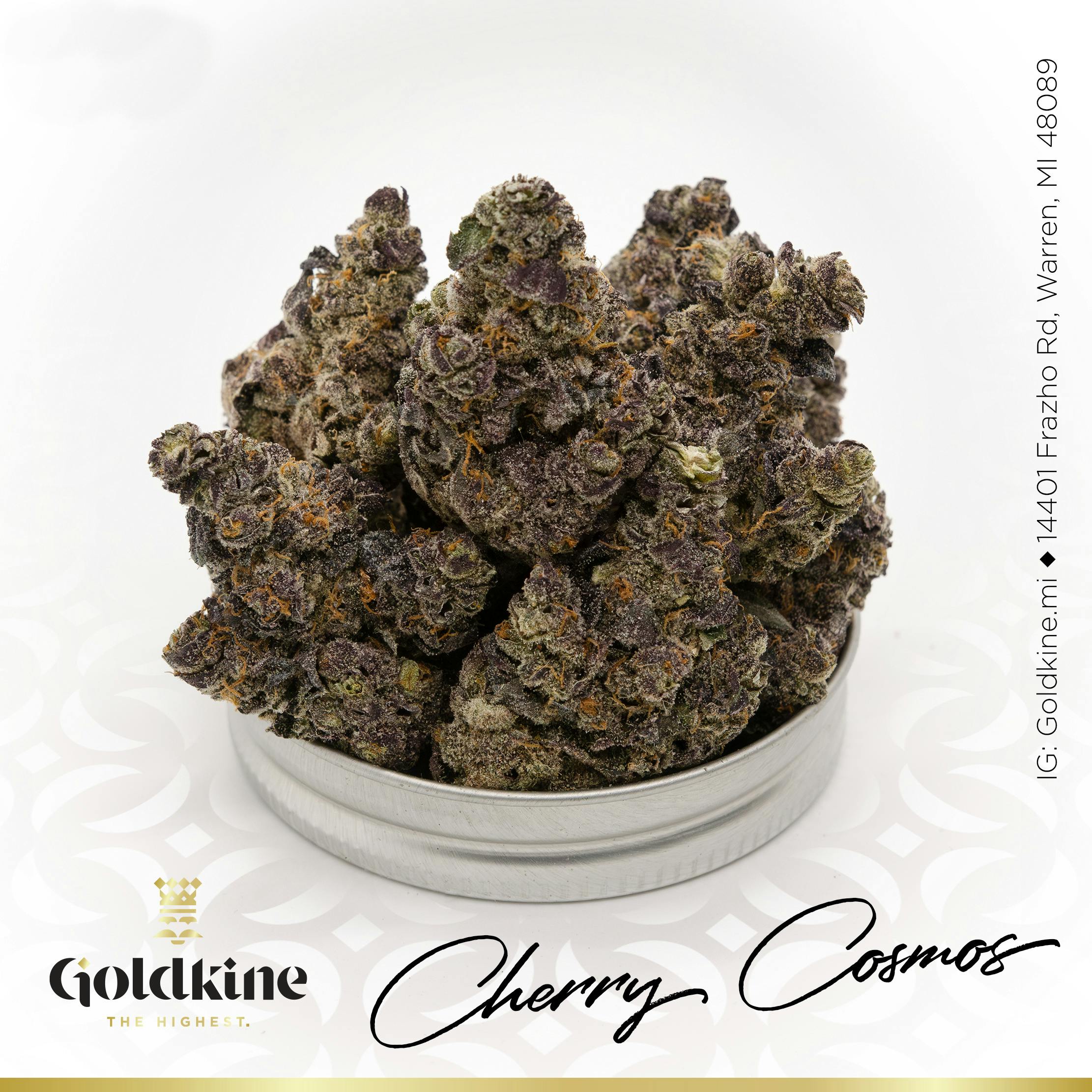 Goldkine Flower "Bigs" | Cherry Cosmos - Goldkine