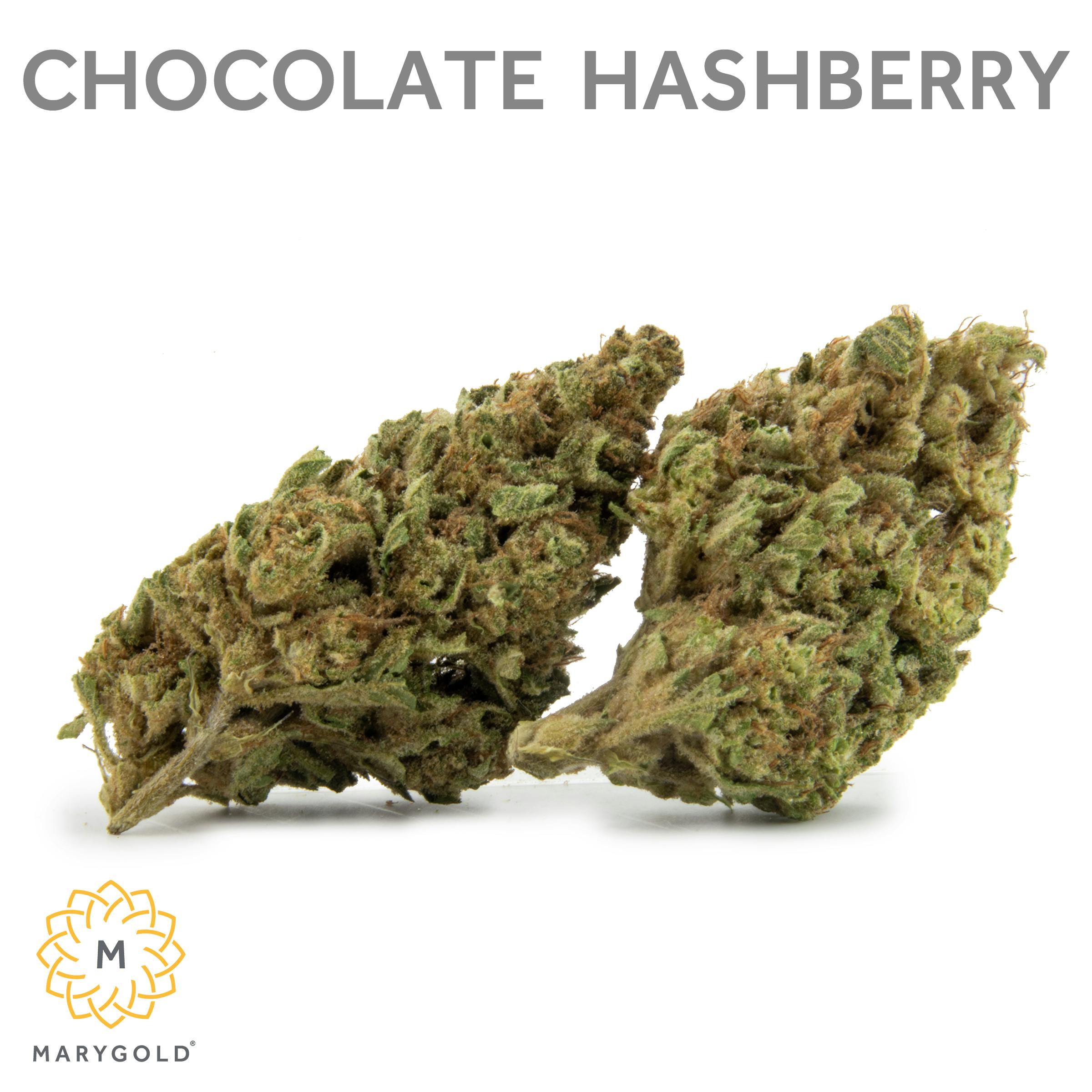 Chocolate Hashberry 14g (30% THC Hybrid) - Marygold
