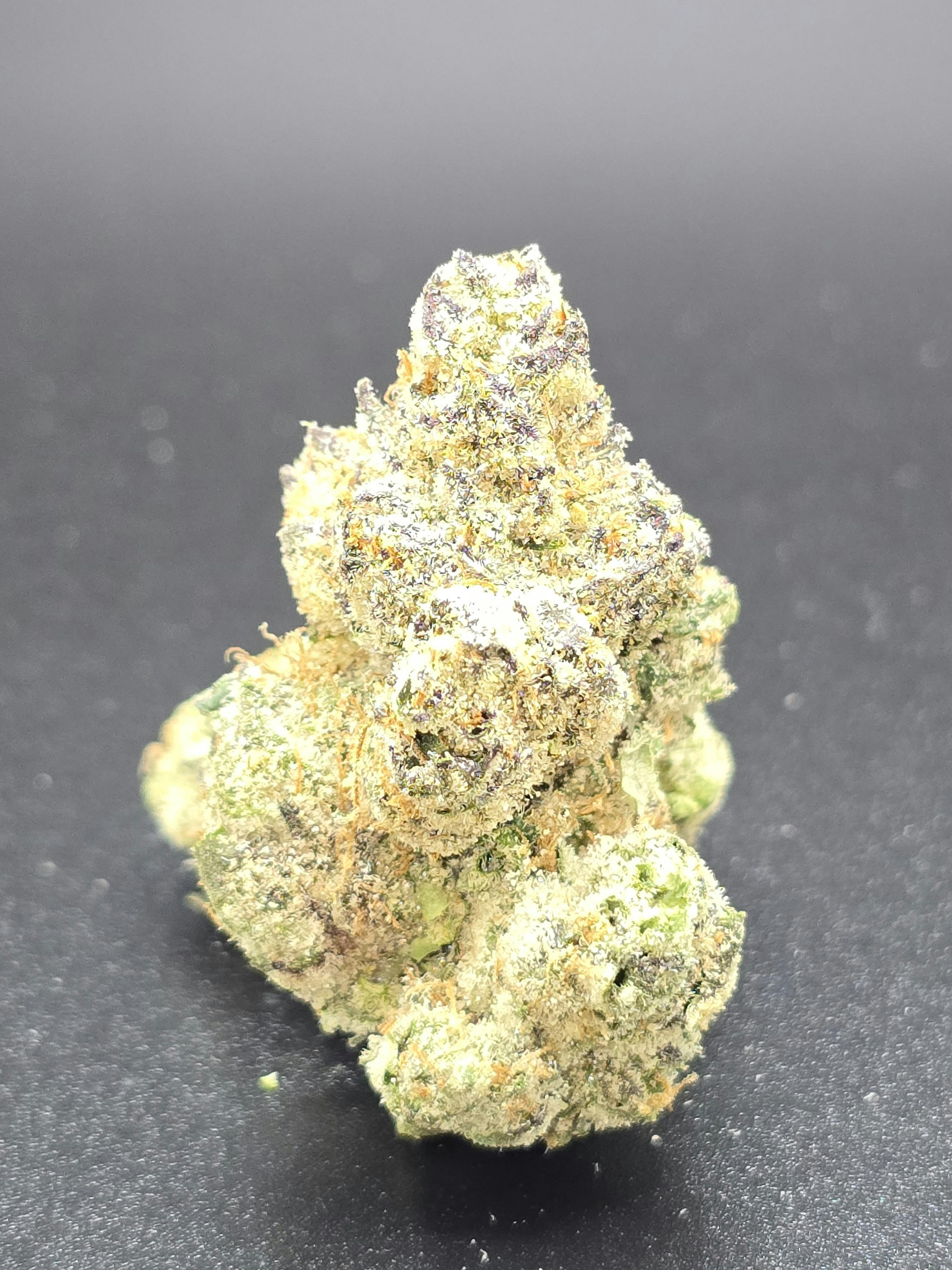 Bolo Runtz - Piranha Production Co