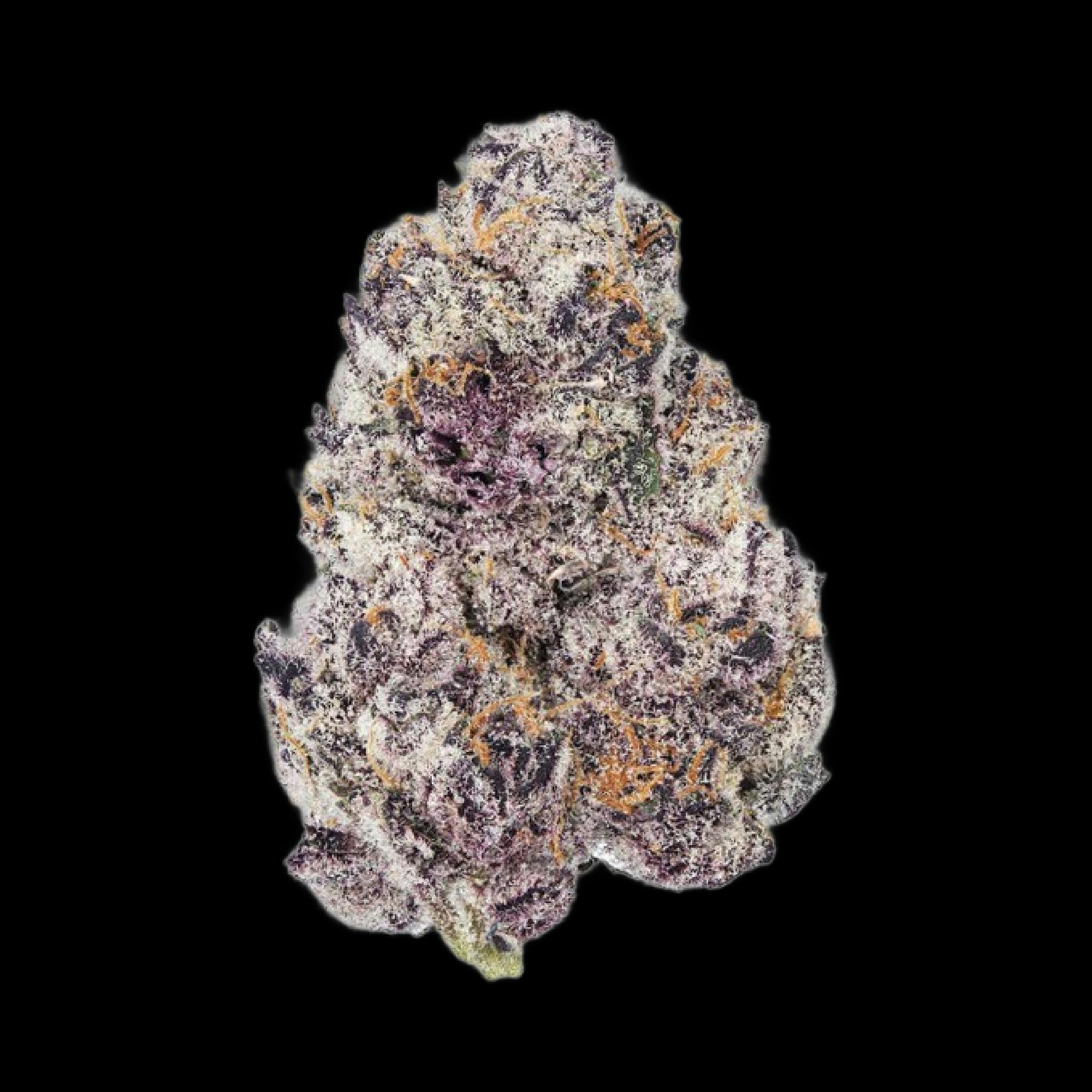 Caleta Flower | Super Boof - Auraz