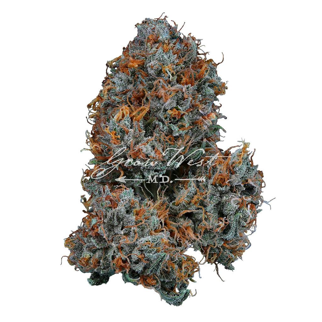 Frosted Oranges | Premium | Hand-Trimmed | 3.5g - Grow West Cannabis ...