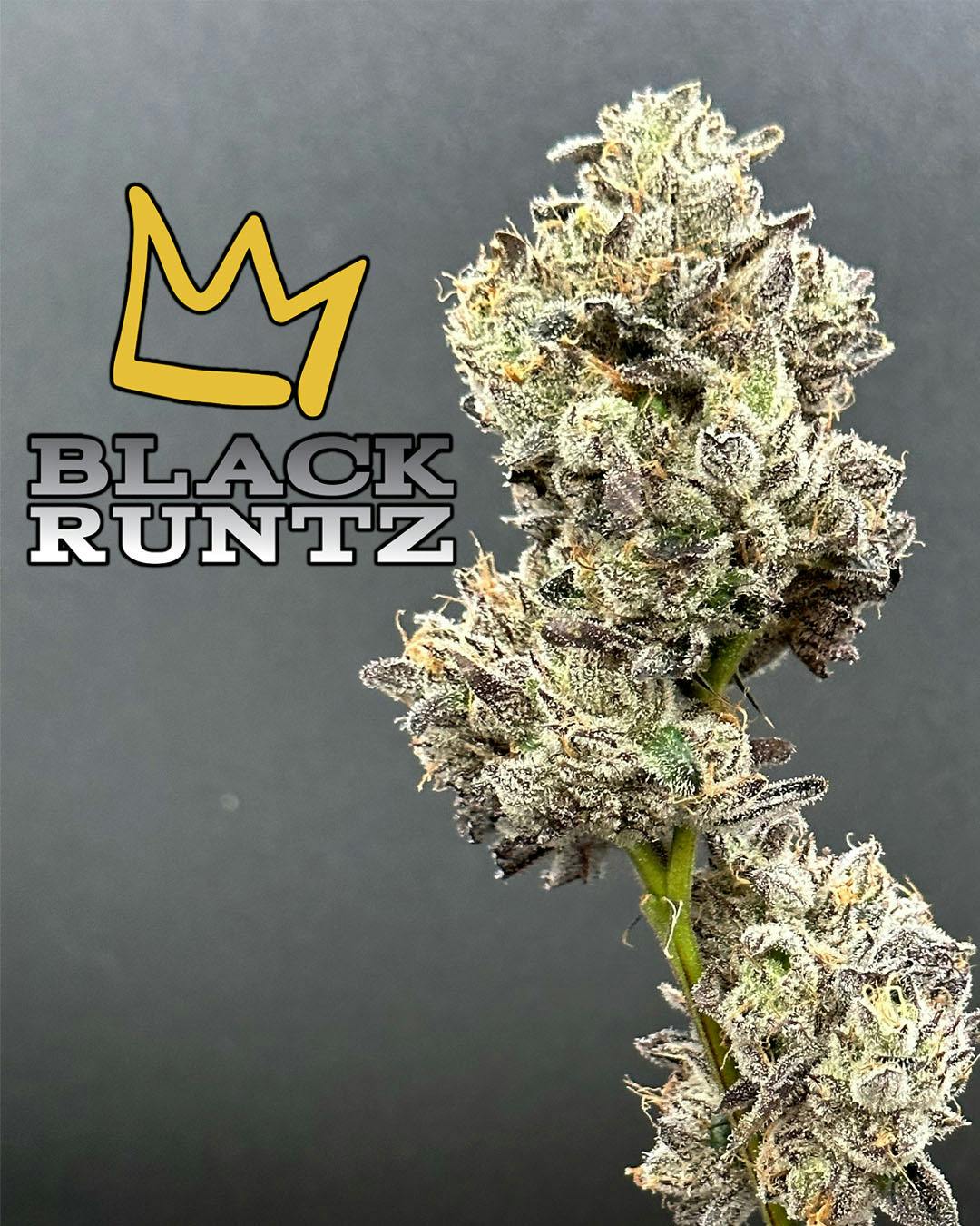 Black RuntZ Exotic Flower Flower - Green Dynasty