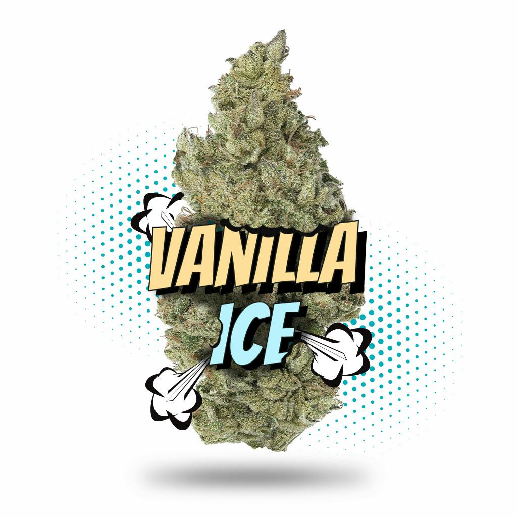 vanilla ice extended