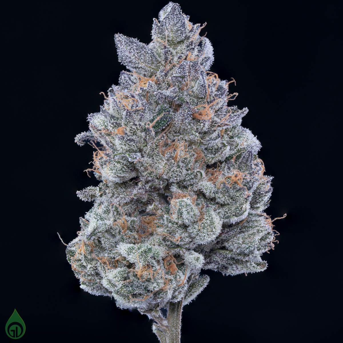 GDL Black Label Flower (14g) | ROYGBIV Blue - Green Dot Labs GDL Black Label Flower (14g) | ROYGBIV Blue - Green Dot Labs