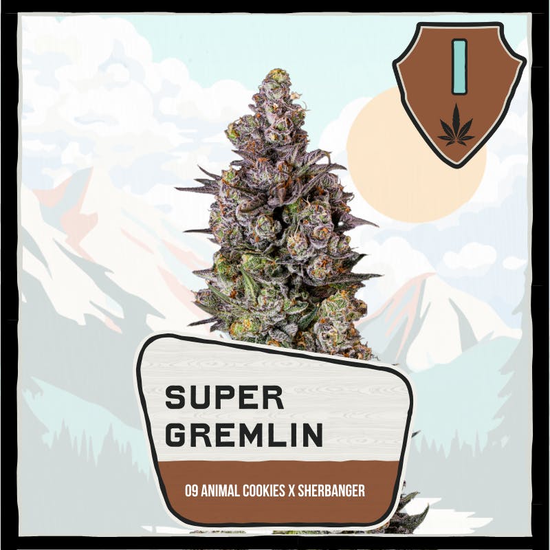 Super Gremlin Buds - Avitas