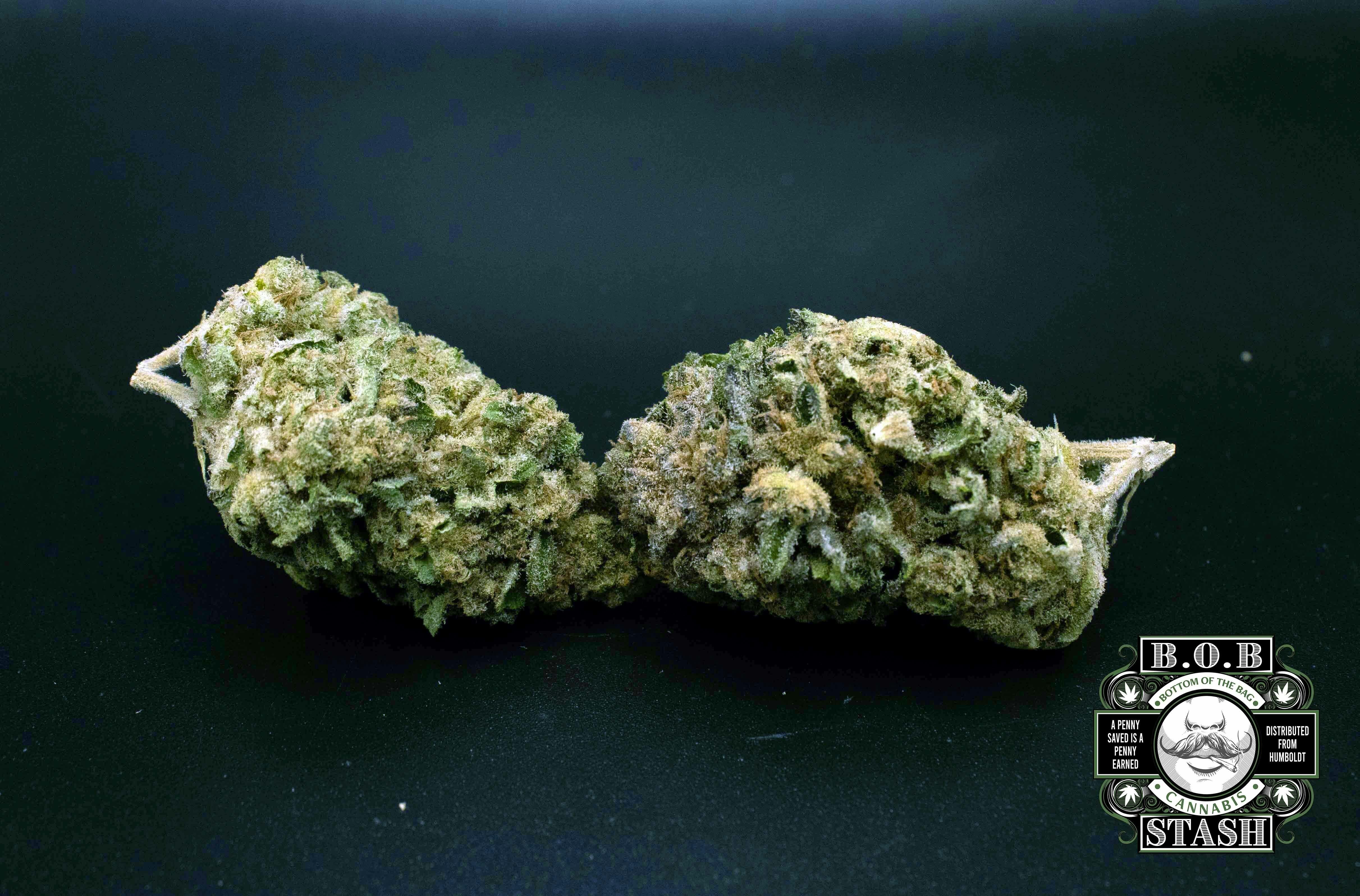 Green Apple Gas 1/2 Ounce /14Grams(25%THC, Sativa) - Trusty Transportations
