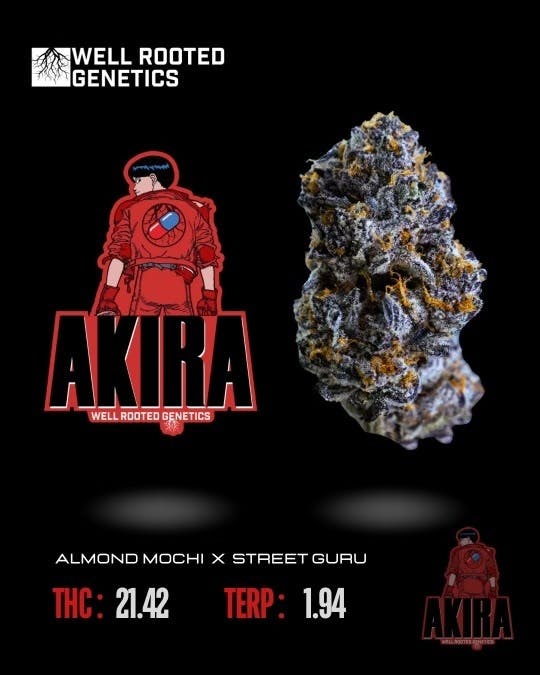 Akira - Well Rooted Genetics