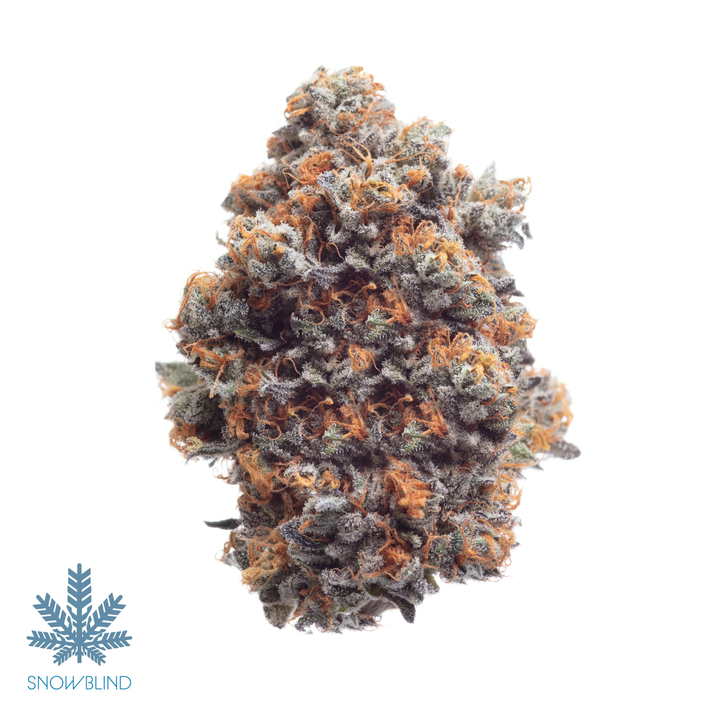 Geloz - Snowblind Cannabis