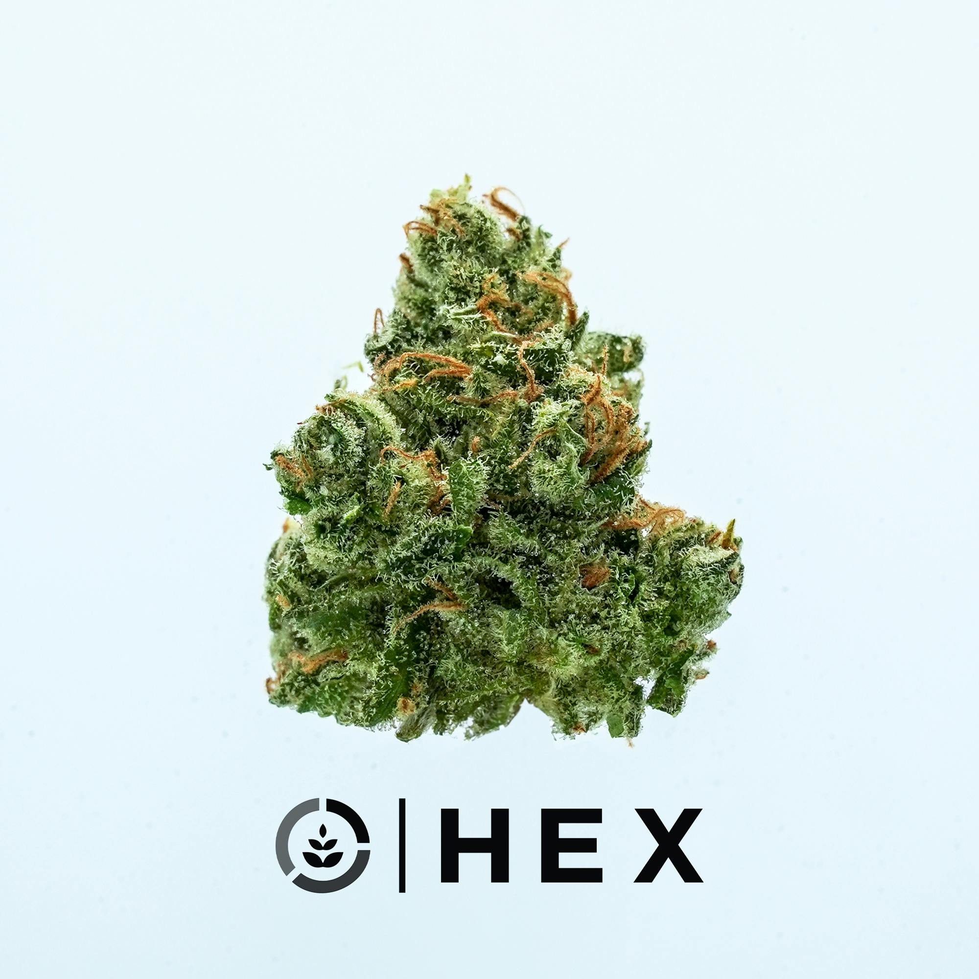 HEX | SUPER JACK HERER SMALLS | 7G - HEX