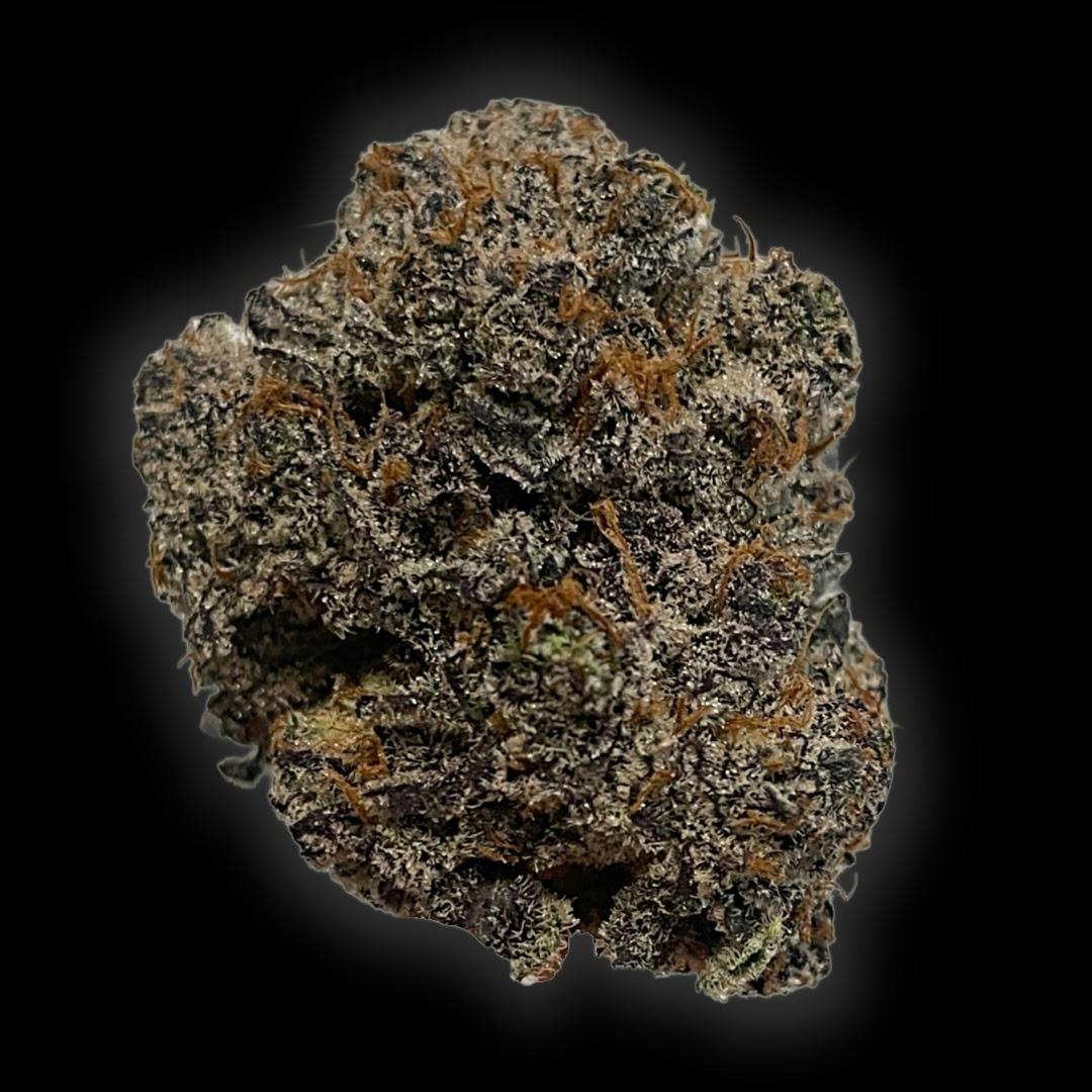 Caleta Flower | Pink Guava - Auraz