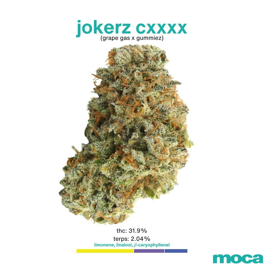 MOCA Flowers - 1/8th Jar - Jokerz Cxxxx - MOCA Humboldt