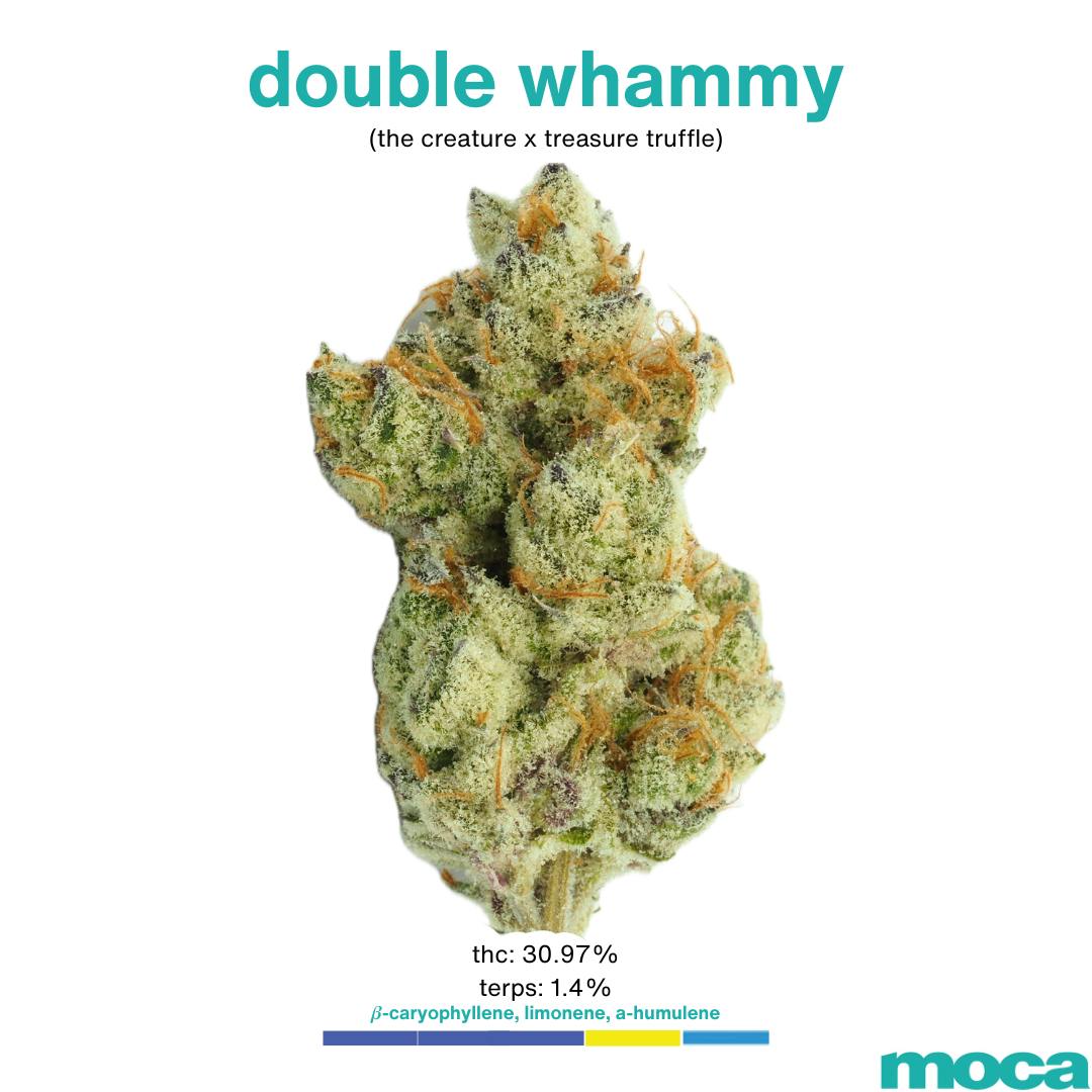 MOCA Flowers - Smalls 1/4 Bag - Double Whammy - MOCA Humboldt