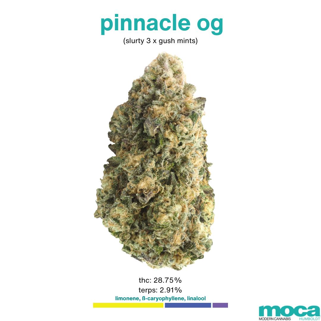 MOCA Flowers - Smalls 1/4 Bag - Pinnacle OG - MOCA Humboldt