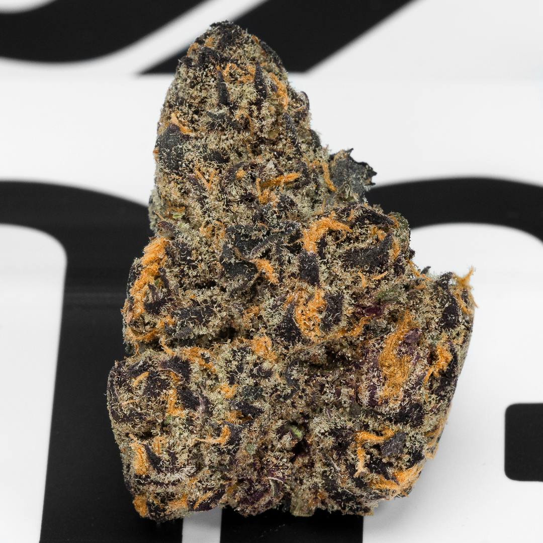 Grape Slushy Lemonade (1G) - OG NATION