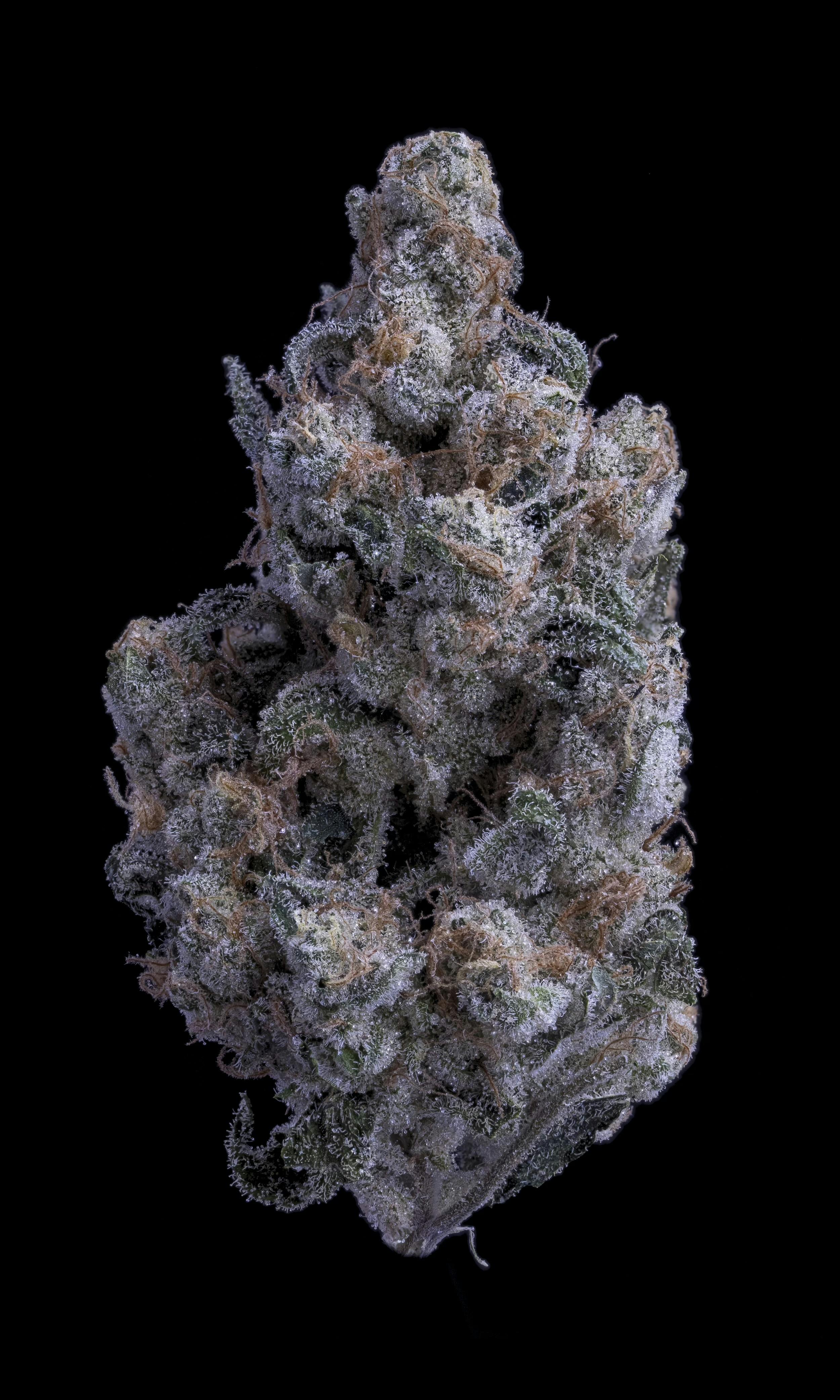 The One Flower - Sticky Status