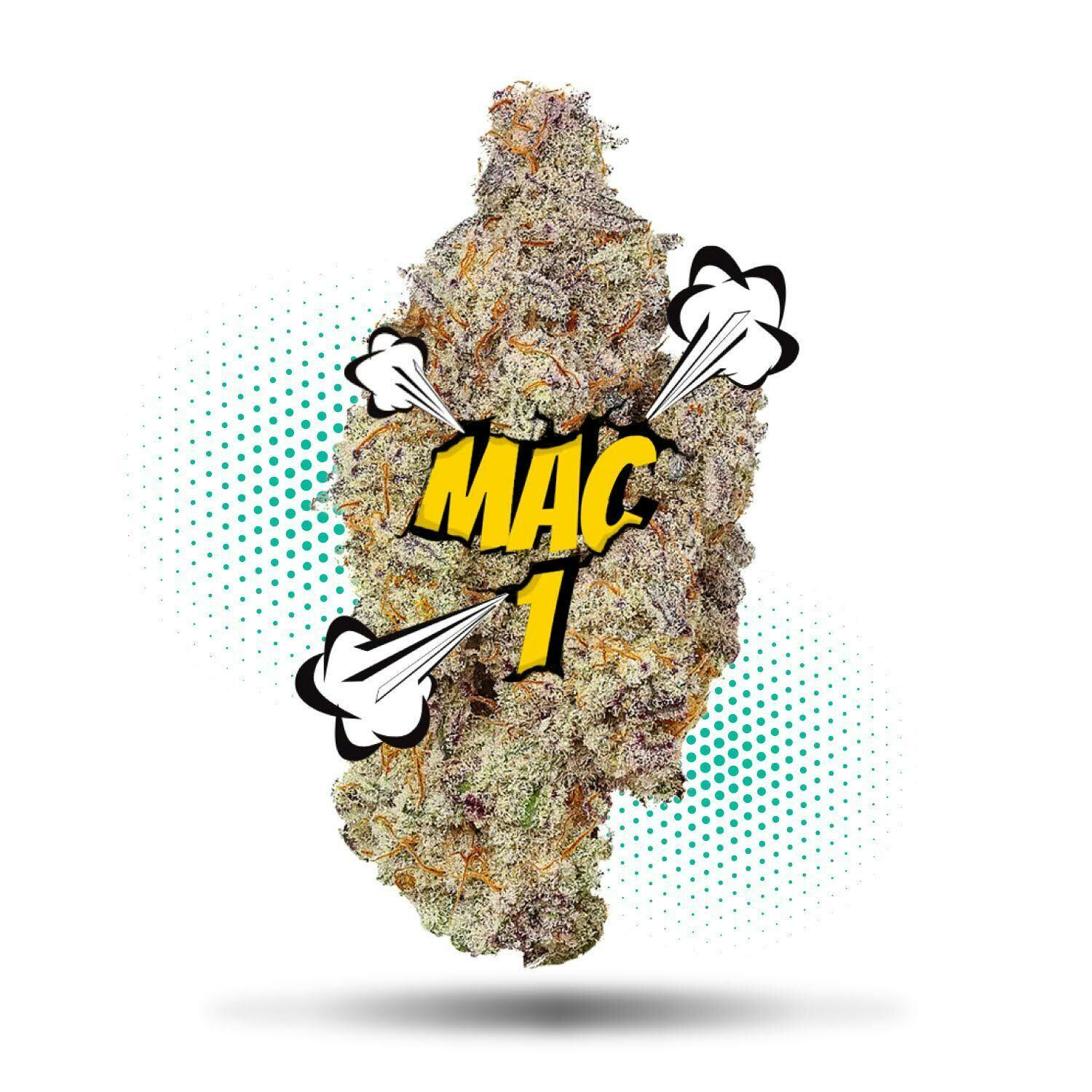MAC 1 - NEW DROP - PREMIUM FLOWER - Hybrid - Frostiez