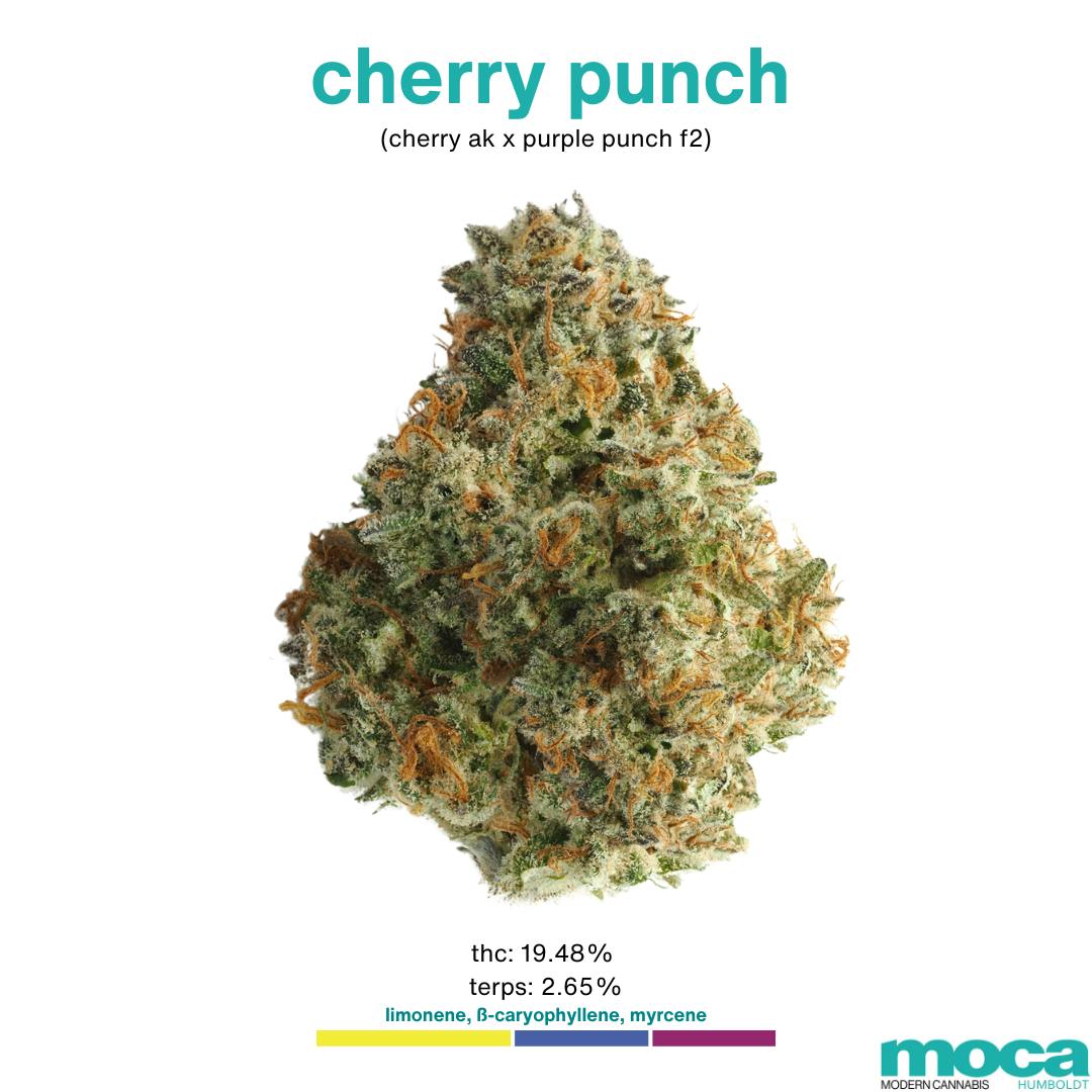 MOCA Flowers - Smalls 1/4 Bag - Cherry Punch - MOCA Humboldt