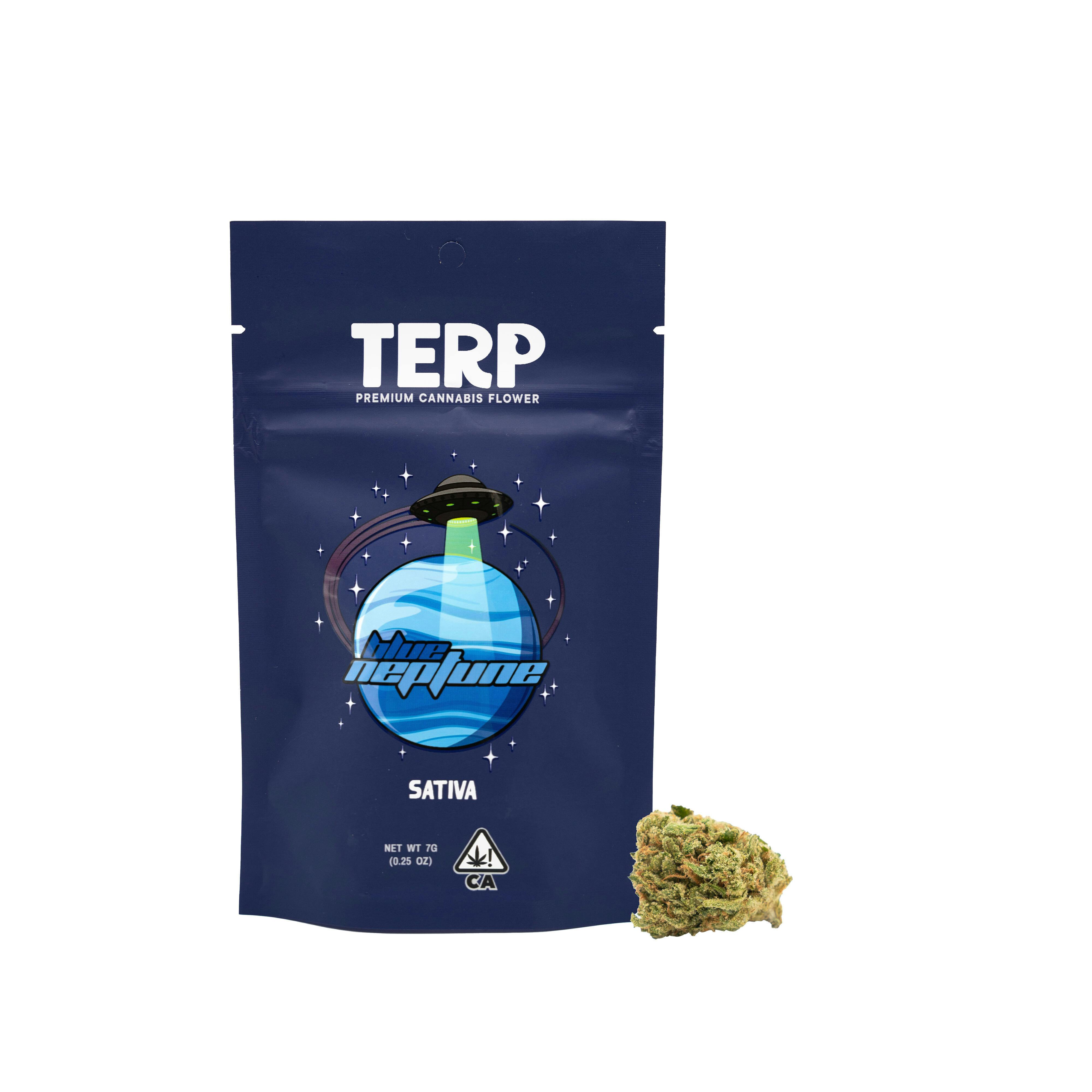 Terp 7g Flower Blue Neptune Terp Brand 