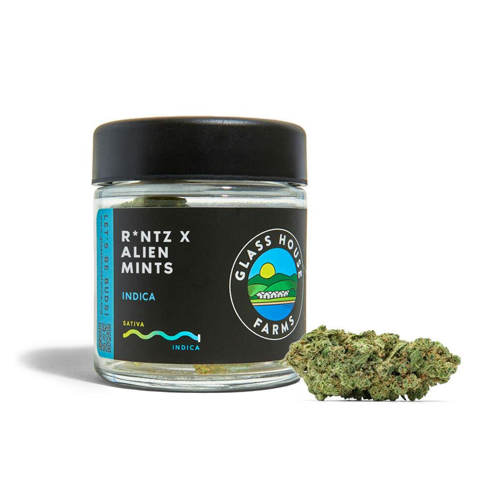 R*ntz x Alien Mints [3.5g Jar] - Glass House Farms