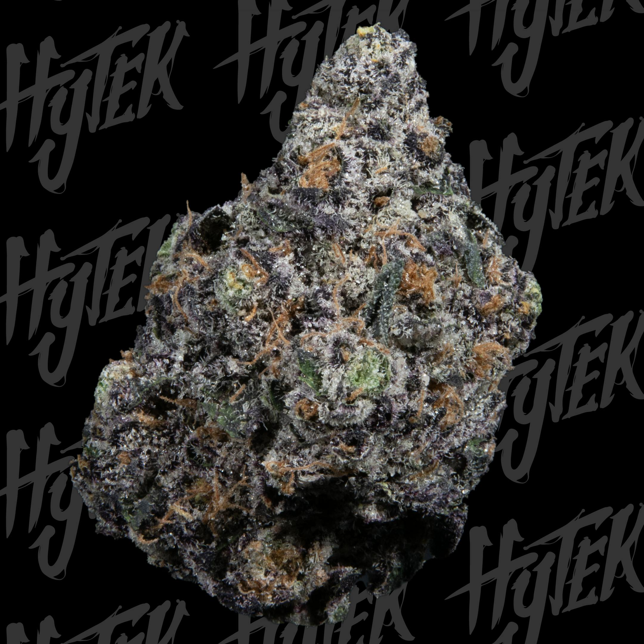 HYTEK | BLACK SHERBLATO | BULK DELI FLOWER - Hytek