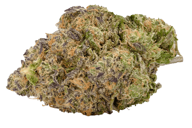 GMO Crasher 3.5g Jar - Rio Vista Farms - Rio Vista Farms - Brand