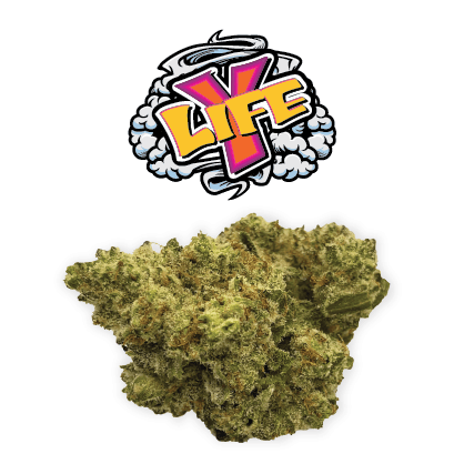 Y-Life 3.5g Jar - Rio Vista Farms - Rio Vista Farms - Brand