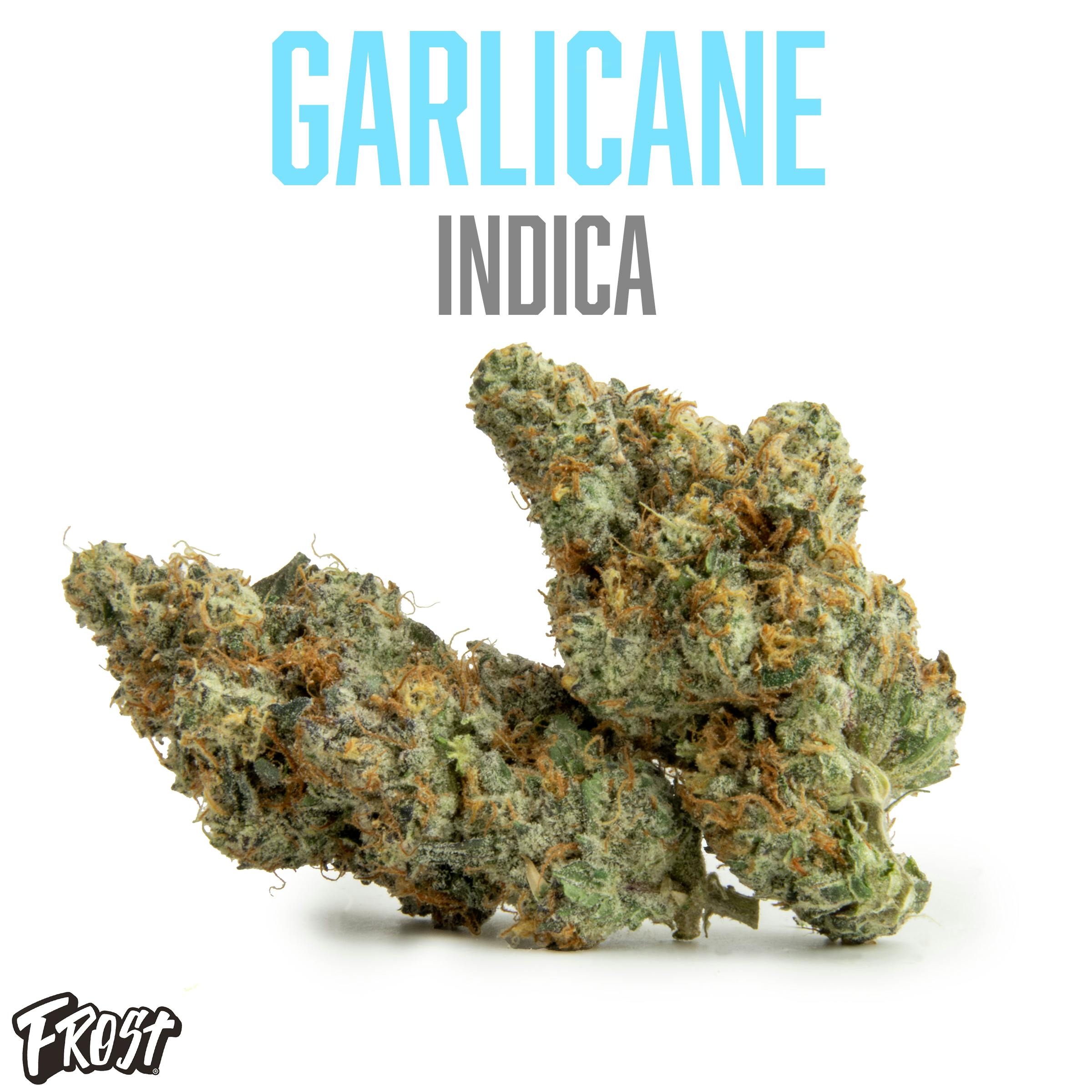 Garlicane 3.5g (Indica) - Frost