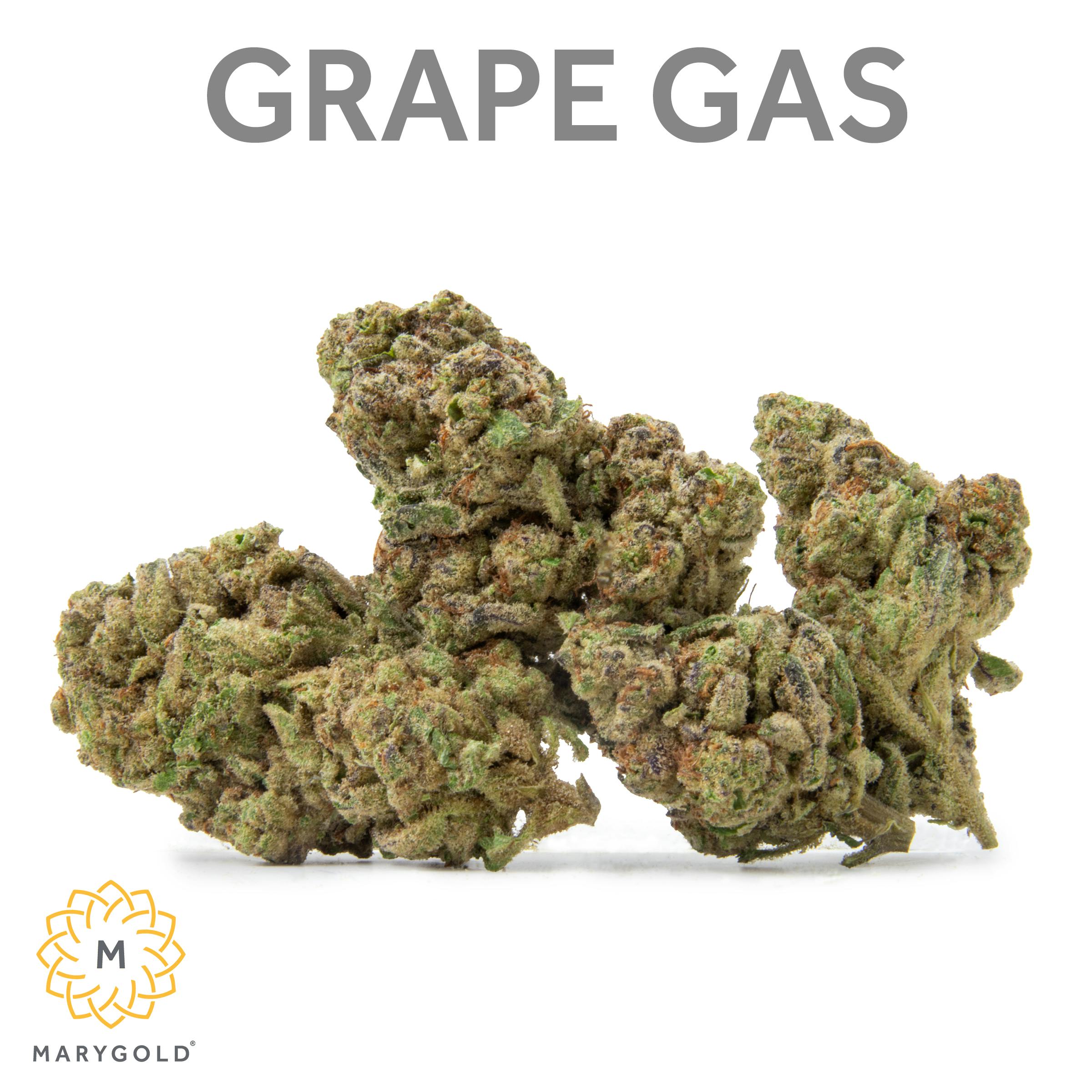 Grape Gas 14g (28% THC Indica) - Marygold