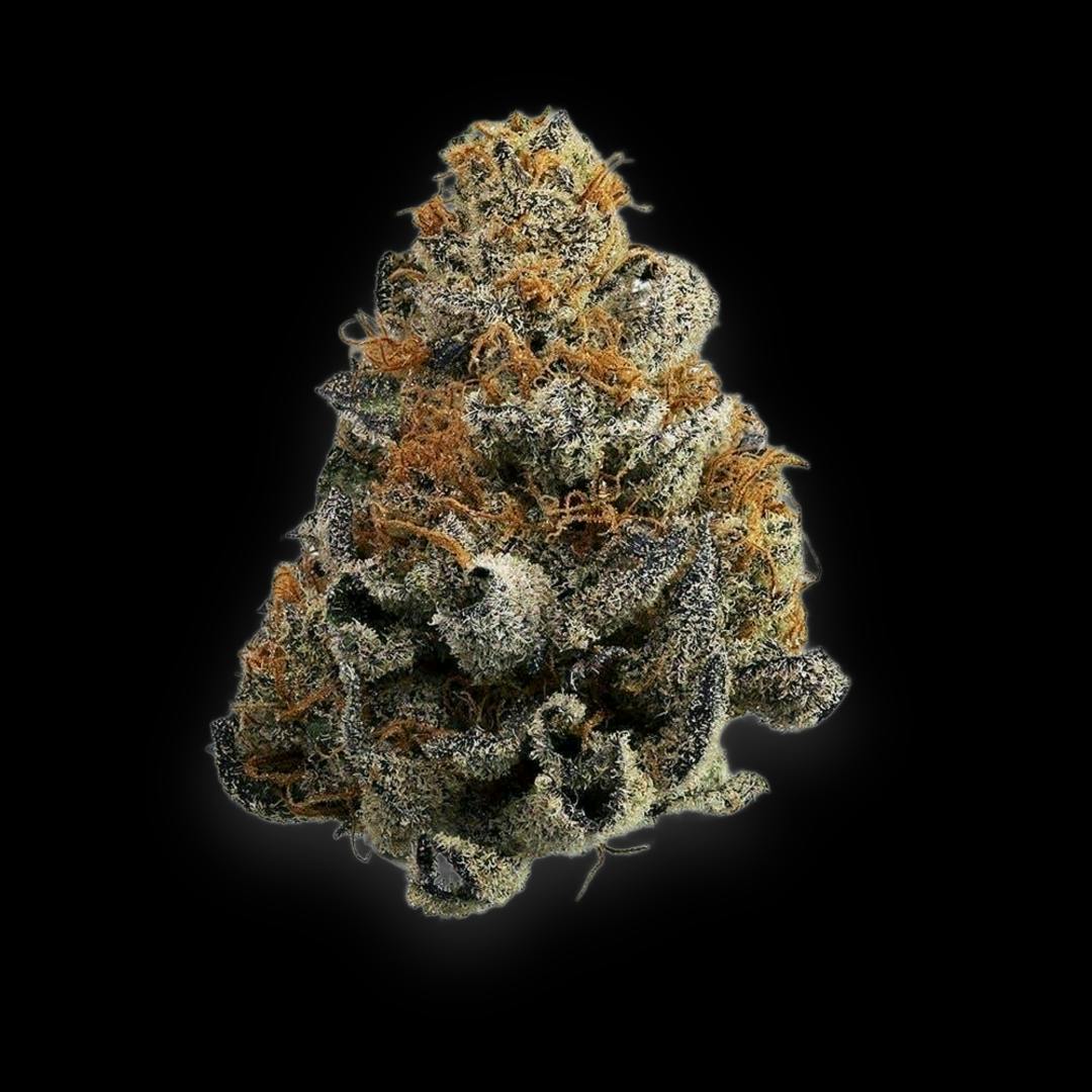 Caleta Flower | Granola Funk - Auraz