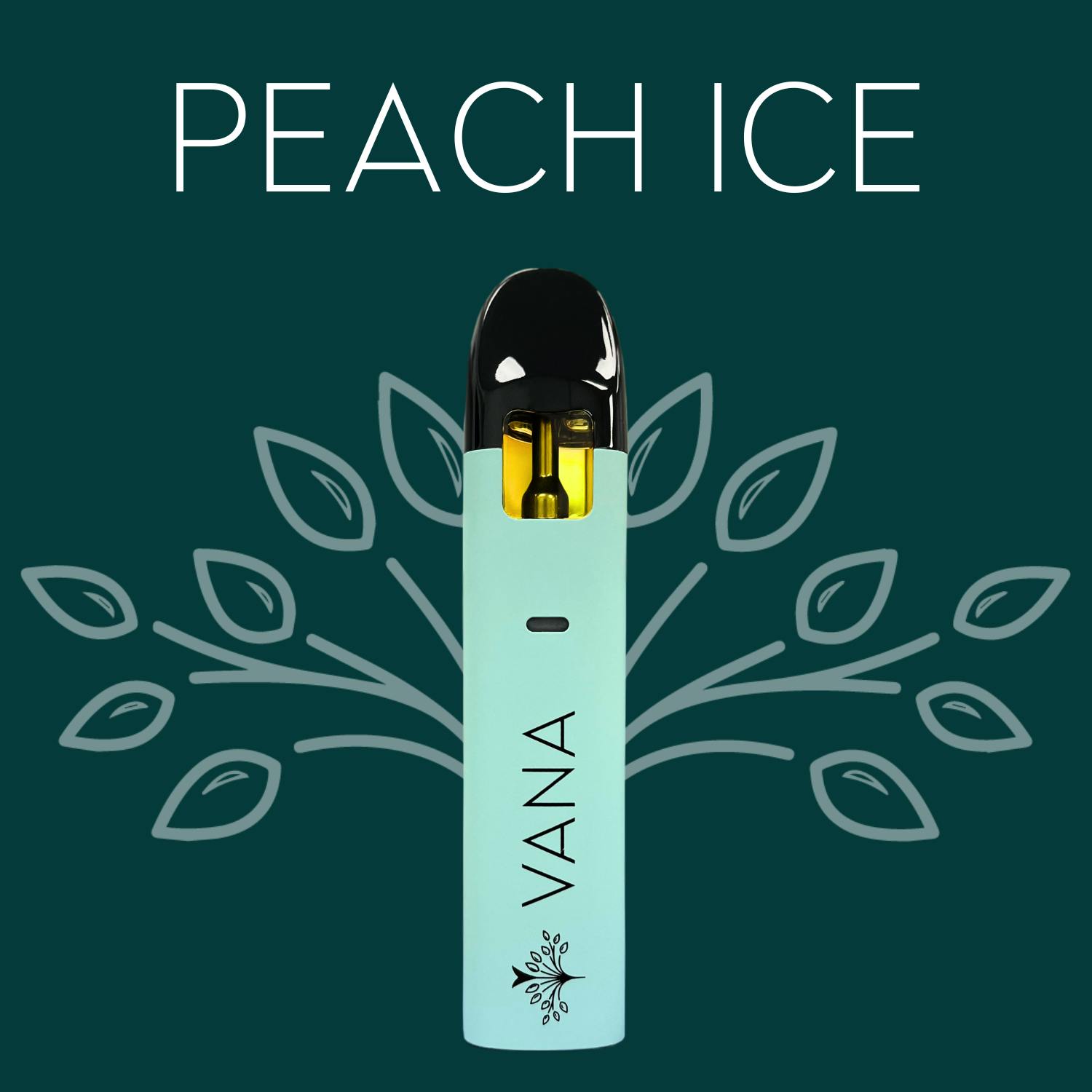Peach Ice - 2 Gram Disposable - Vana