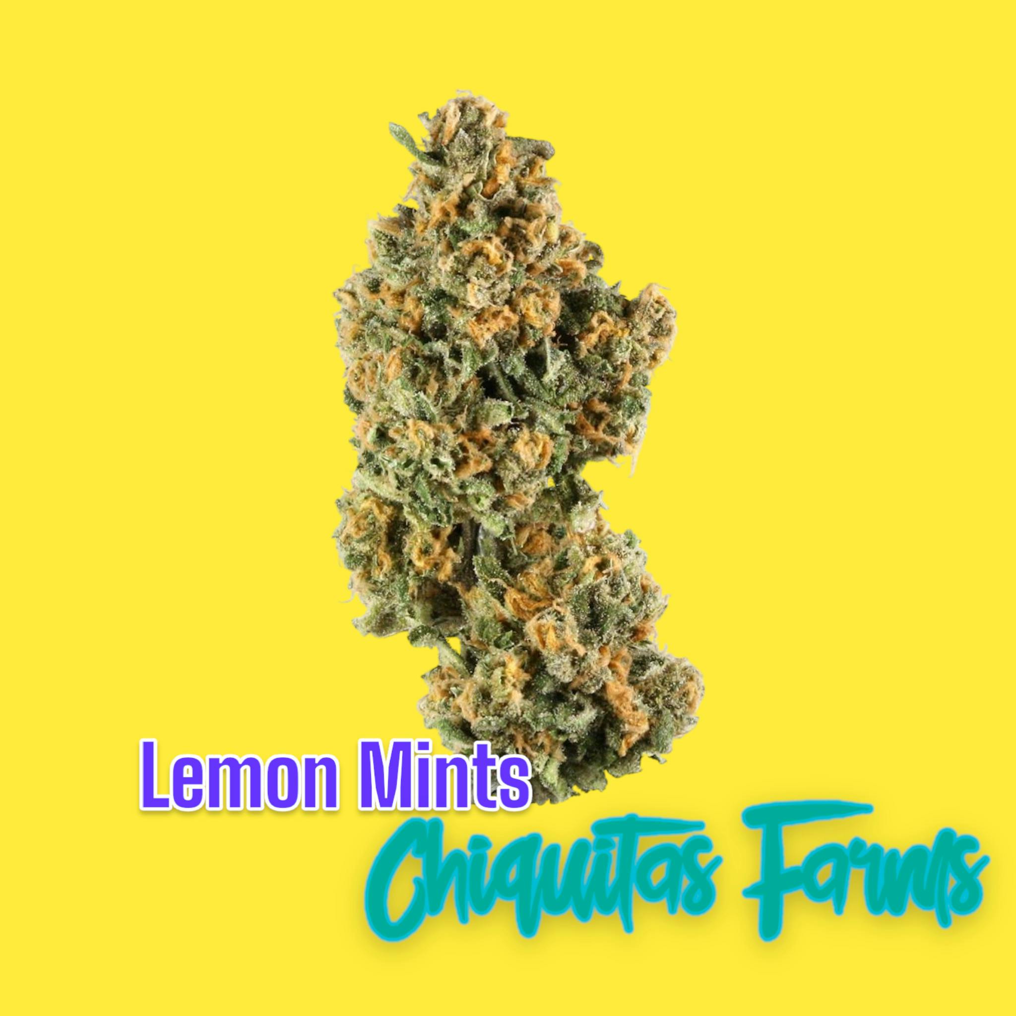Lemon Mints - Chiquitas Farms
