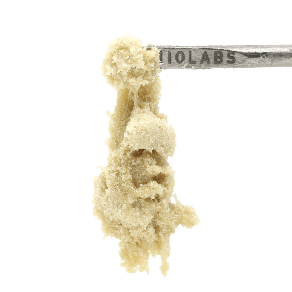 Bootylicious #1 Persy Water Hash 1g - 710 Labs