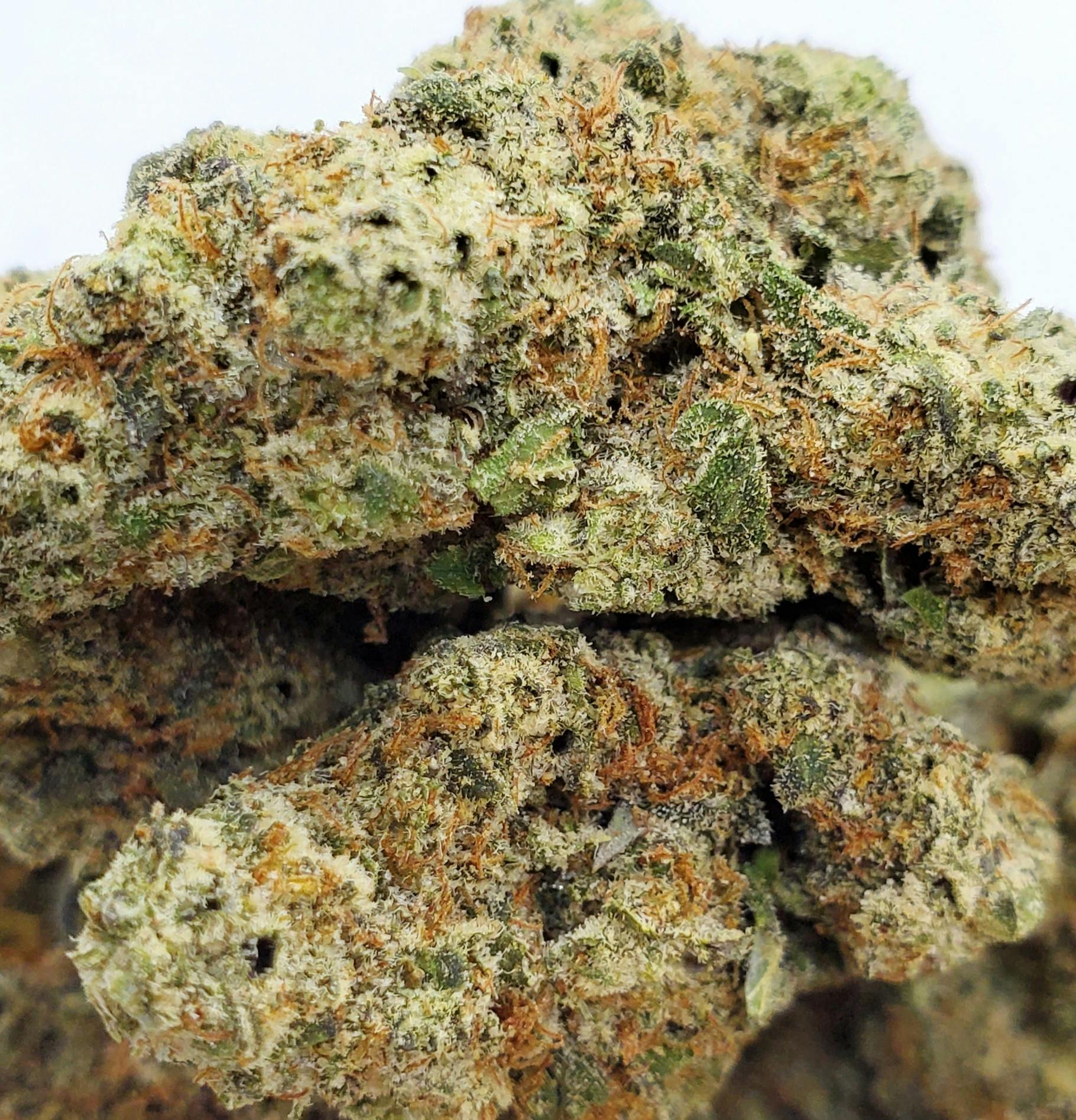 Mango Haze - World Class Cannabis