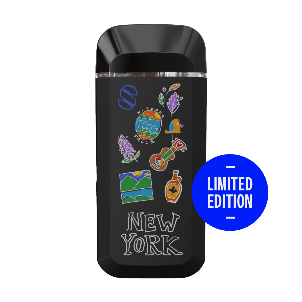 BRIQ Essentials All in One - Fruit Bedrock 2g (Limited Edition NYC Briq ...